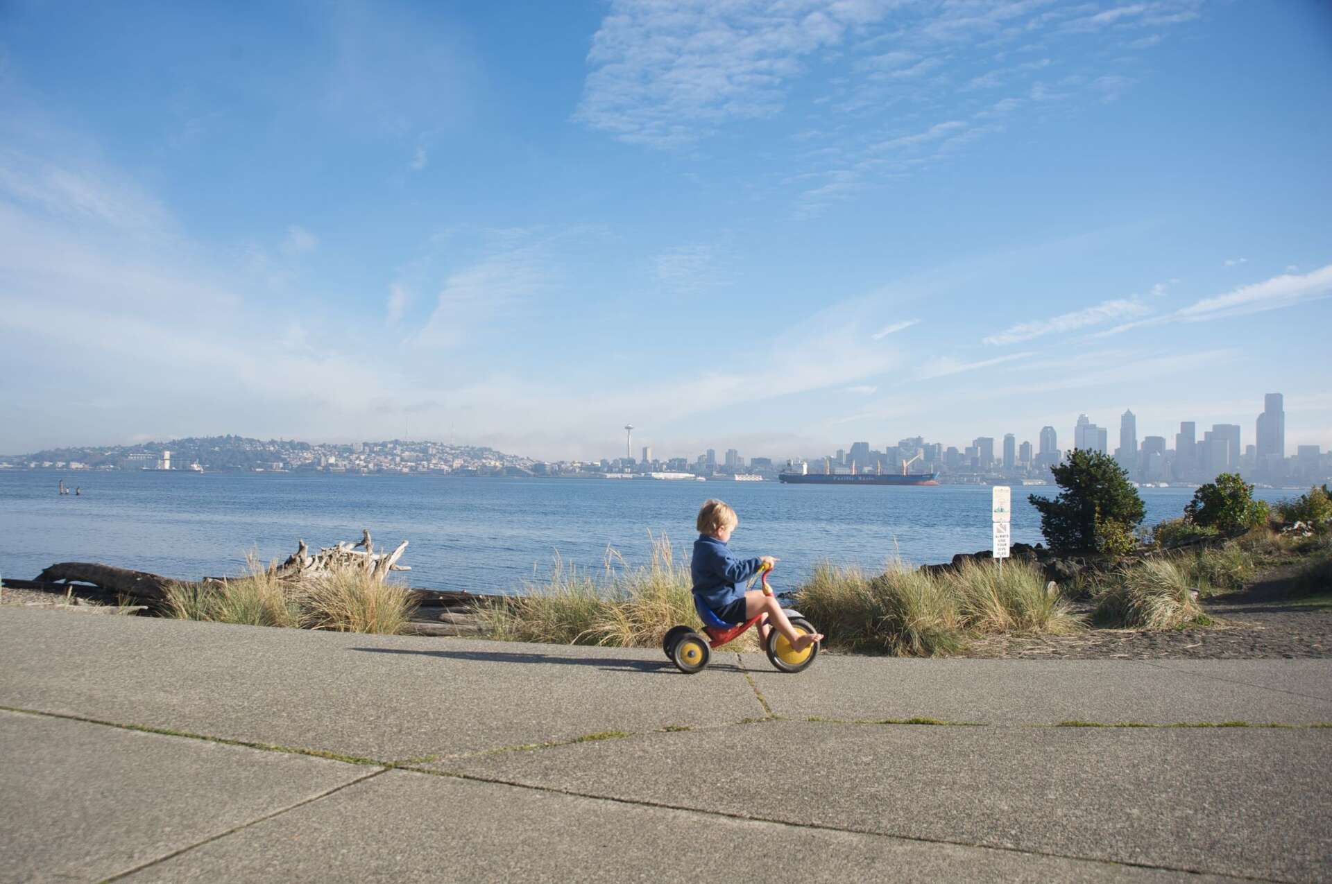 Fresh air fun: The 17 best parks and trails in Seattle