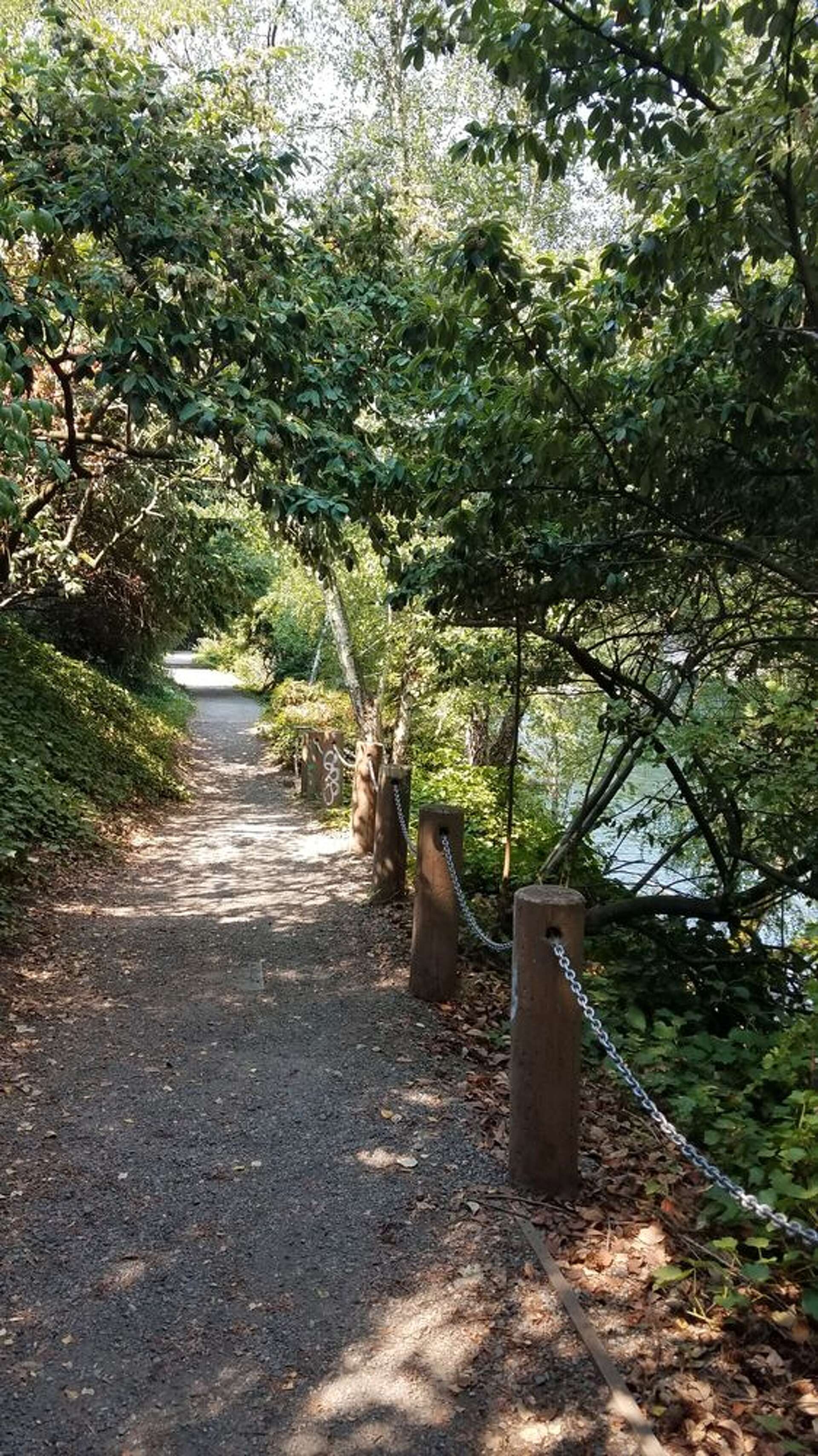 Fresh air fun: The 17 best parks and trails in Seattle