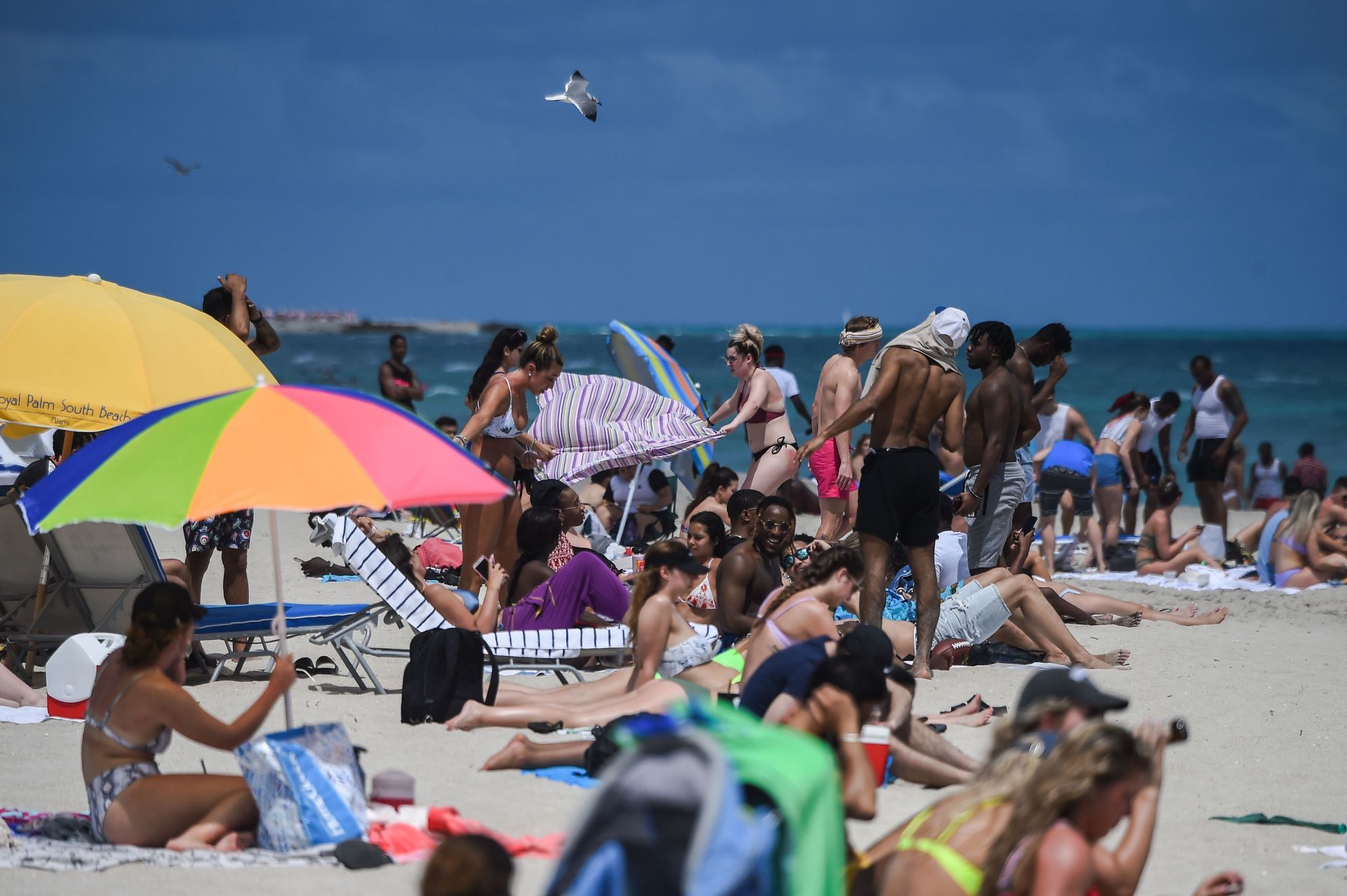 In wake of wild spring break scenes, Miami closes beaches