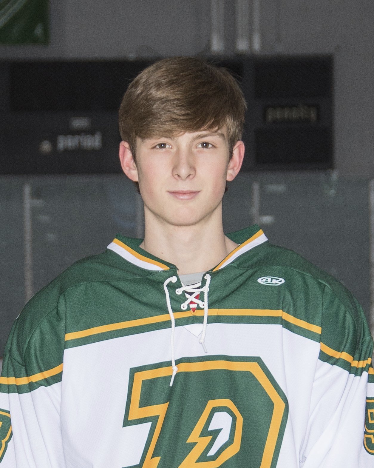 Seven local hockey players earn All-State honors