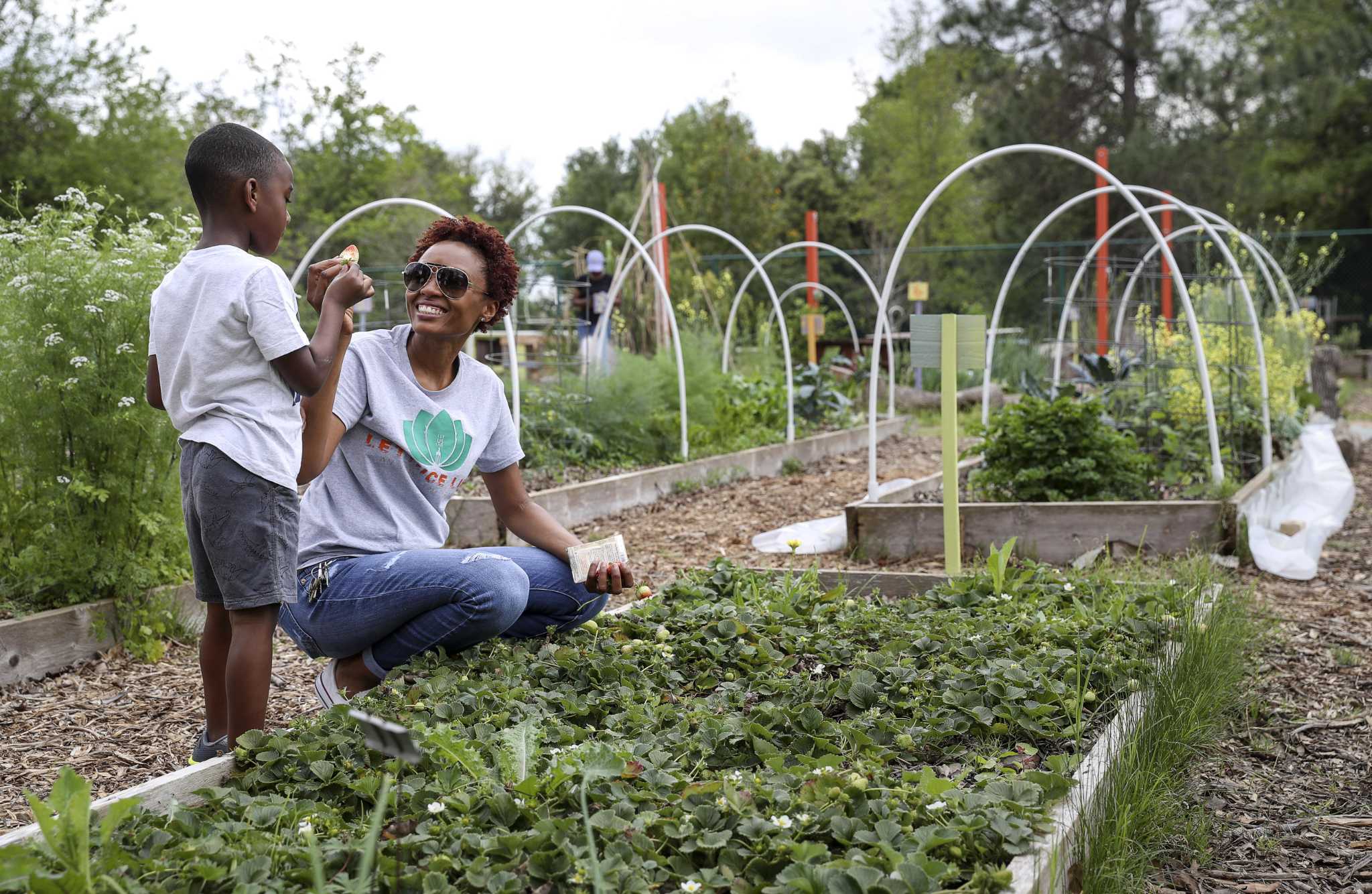 Start your own edible garden