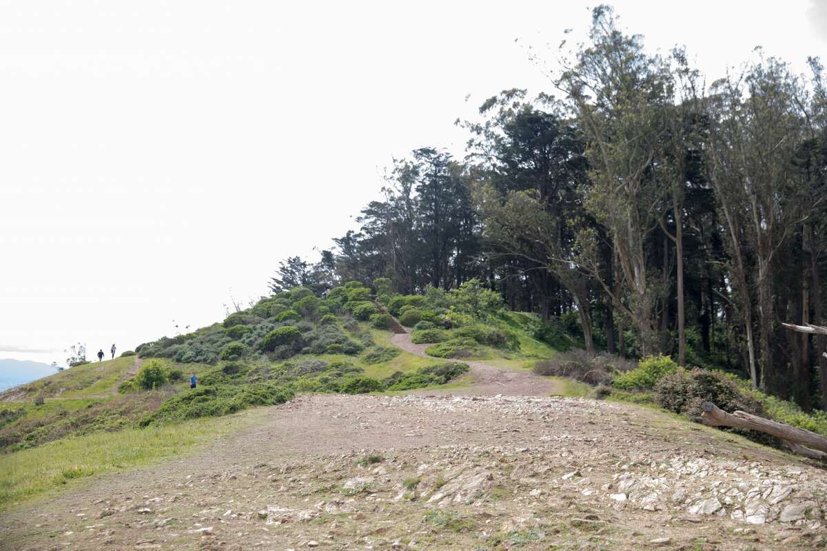 A dramatic hike right in the middle of San Francisco