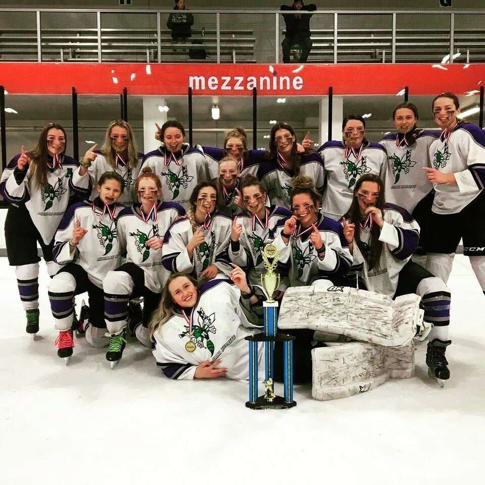 Midland Hornets 14U girls' hockey team wins state title in inaugural season