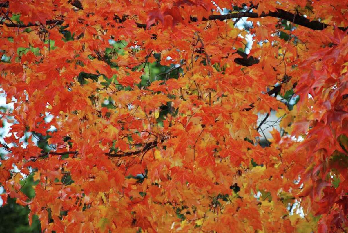 Kent named top foliage town by Yankee Magazine