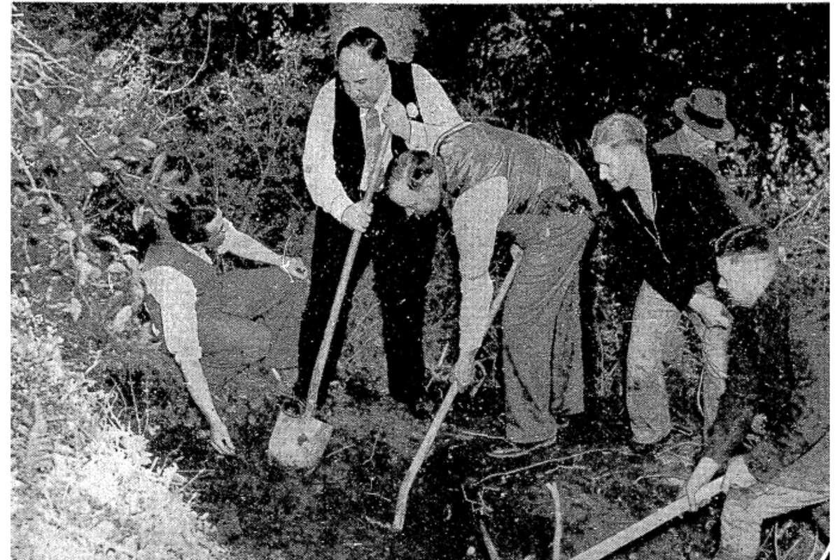 'The Laughing Killer': The Bay Area serial killer who wasn't