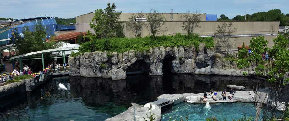 You can still ‘visit’ Maritime Aquarium at Norwalk, Mystic Aquarium ...