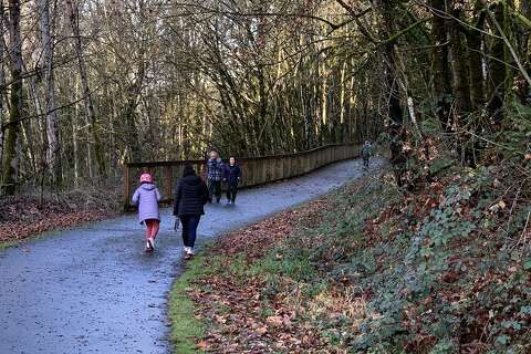 There’s a bunny boom in Seattle right now. Here’s why