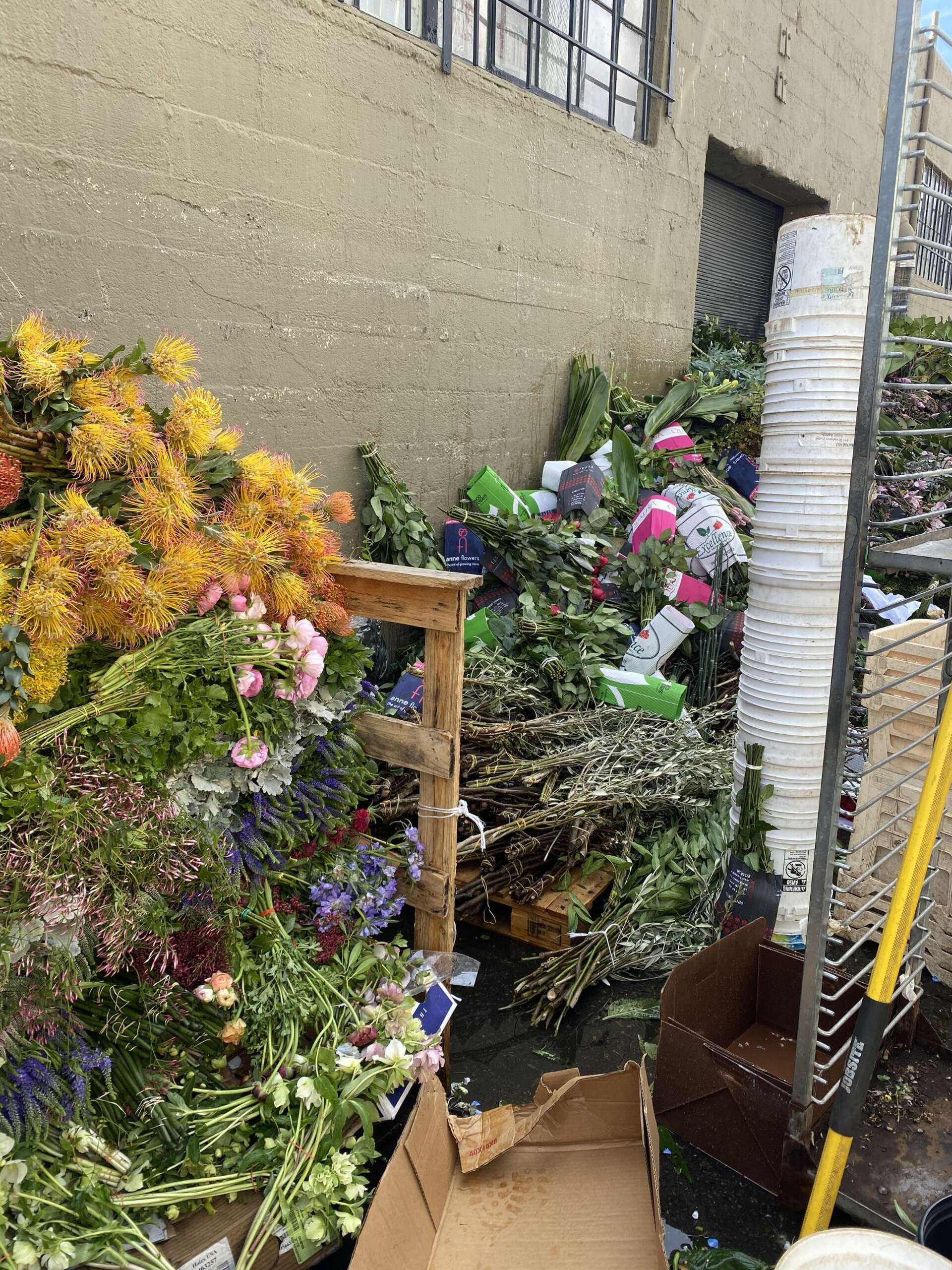 Millions of dollars worth of SF flowers wither away as coronavirus ...