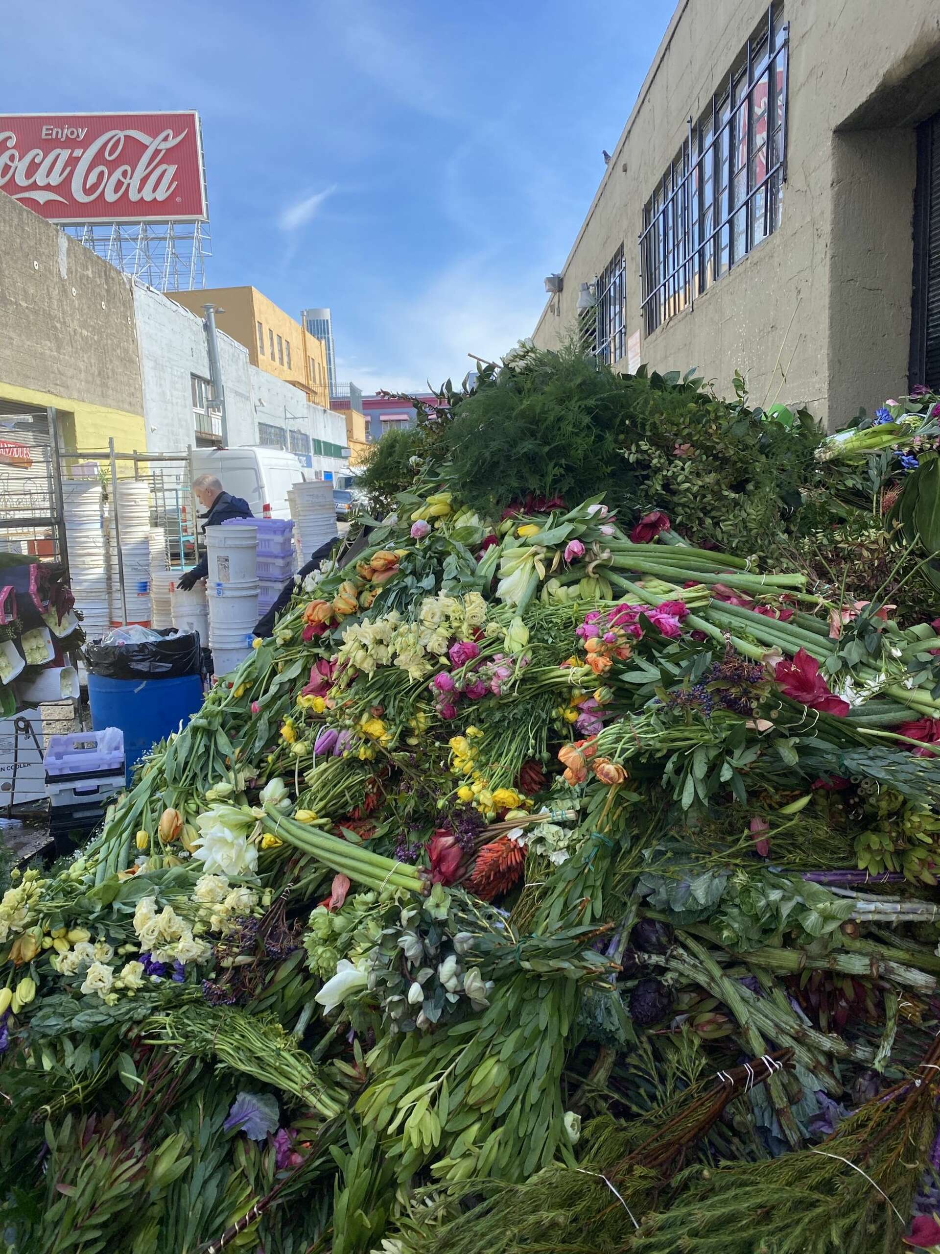Millions of dollars worth of SF flowers wither away as coronavirus ...