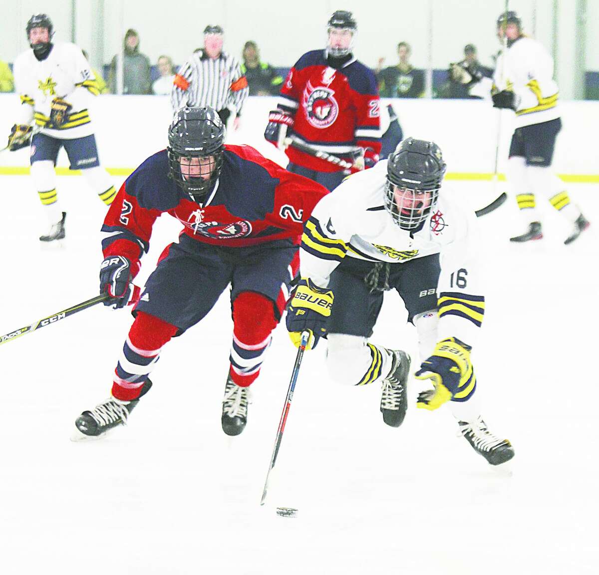 5 Chips earn All-Northern Michigan Hockey League honors