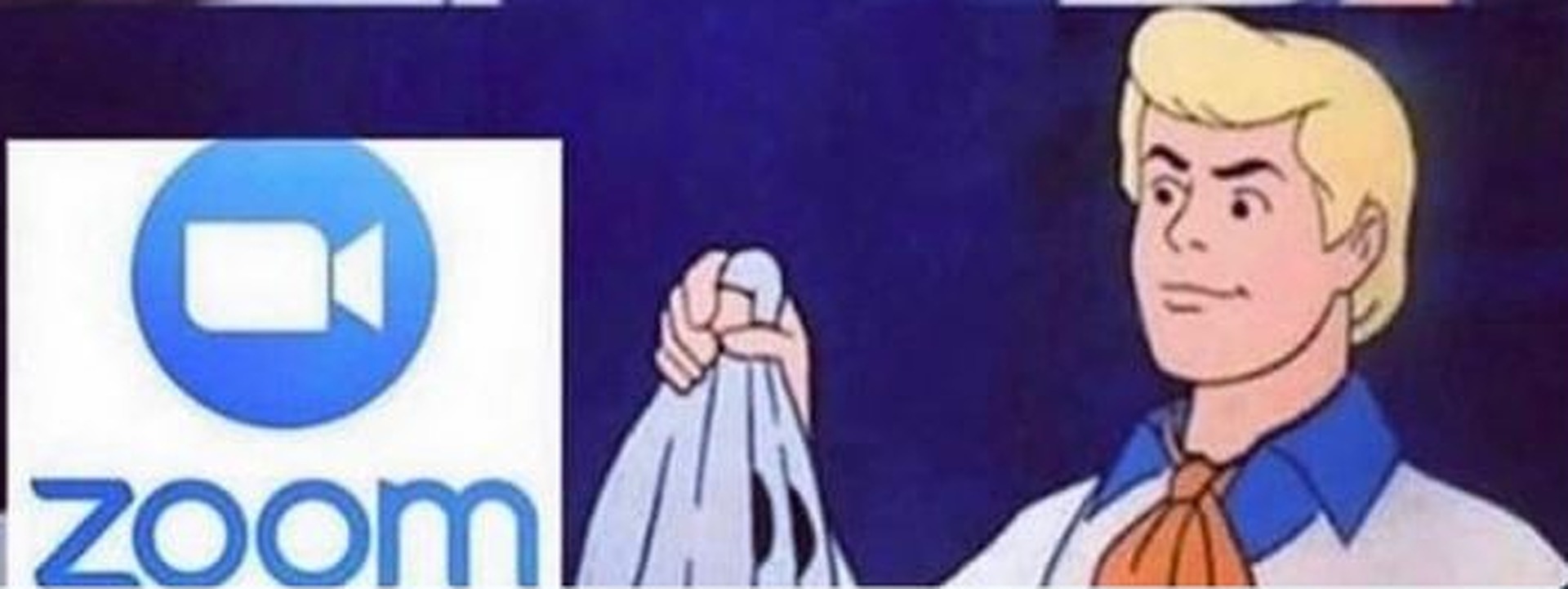 Working from home? You'll relate to these Zoom fails and memes