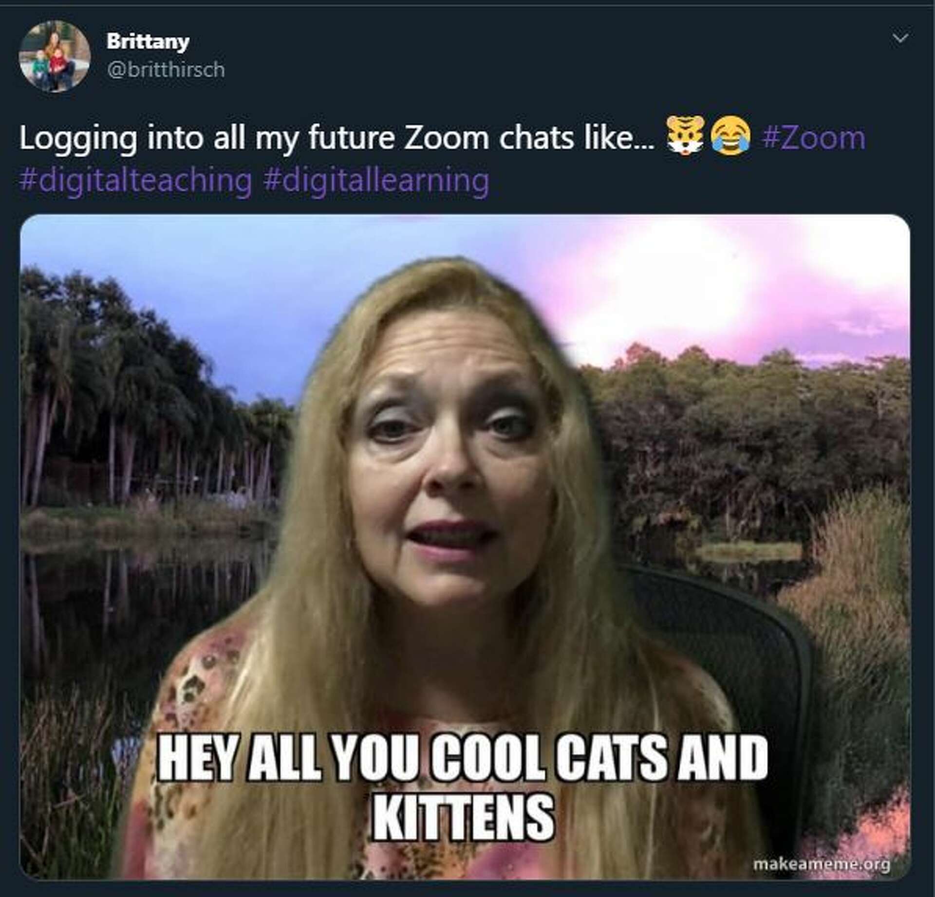 Working from home? You'll relate to these Zoom fails and memes