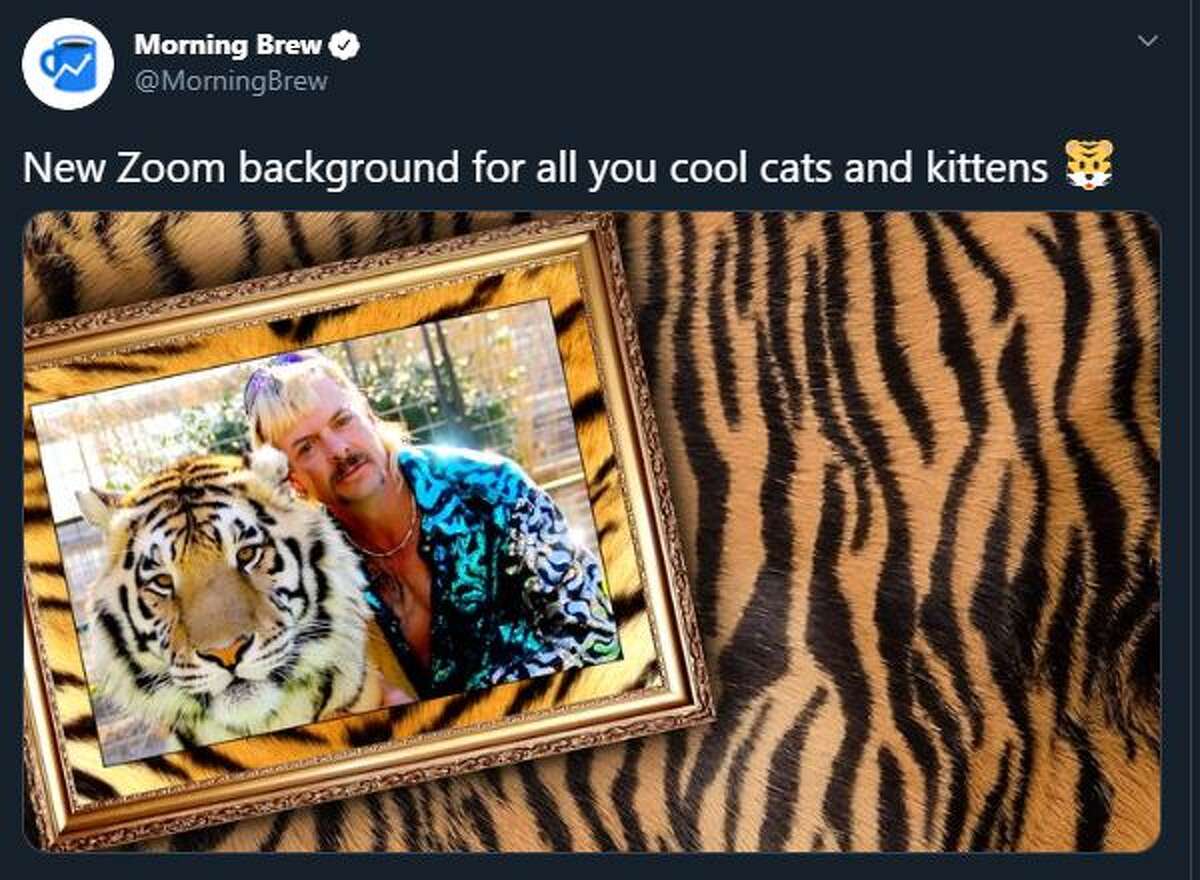 Working from home? You'll relate to these Zoom fails and memes