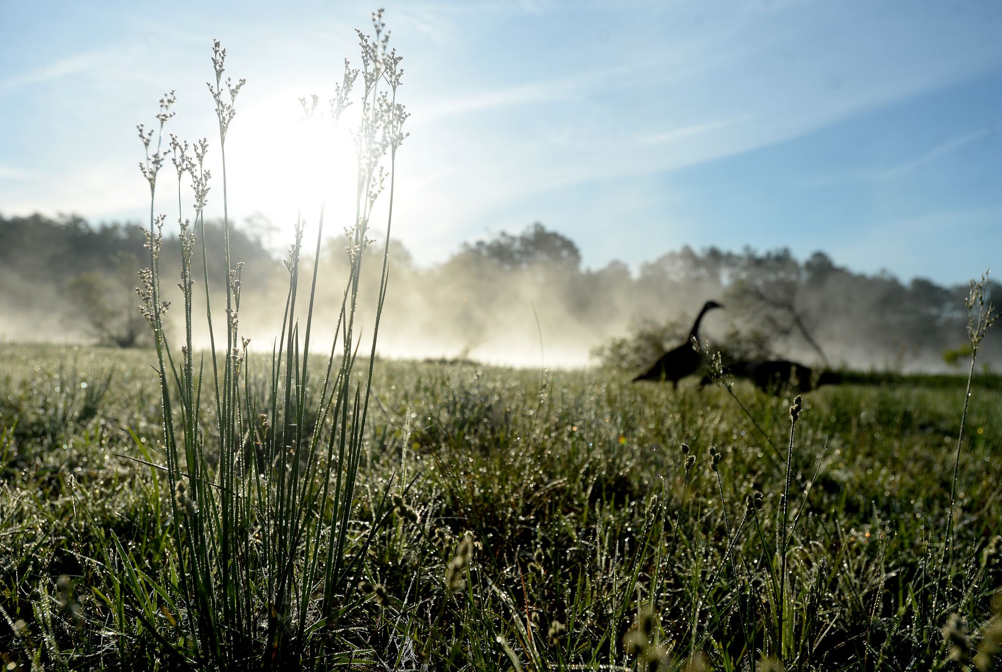 Weather report: Another foggy morning and sunny day in Beaumont