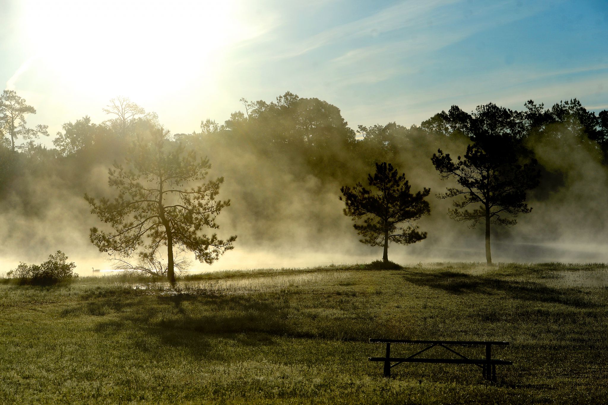 Weather forecast: Tuesday starts foggy, ends warm and sunny