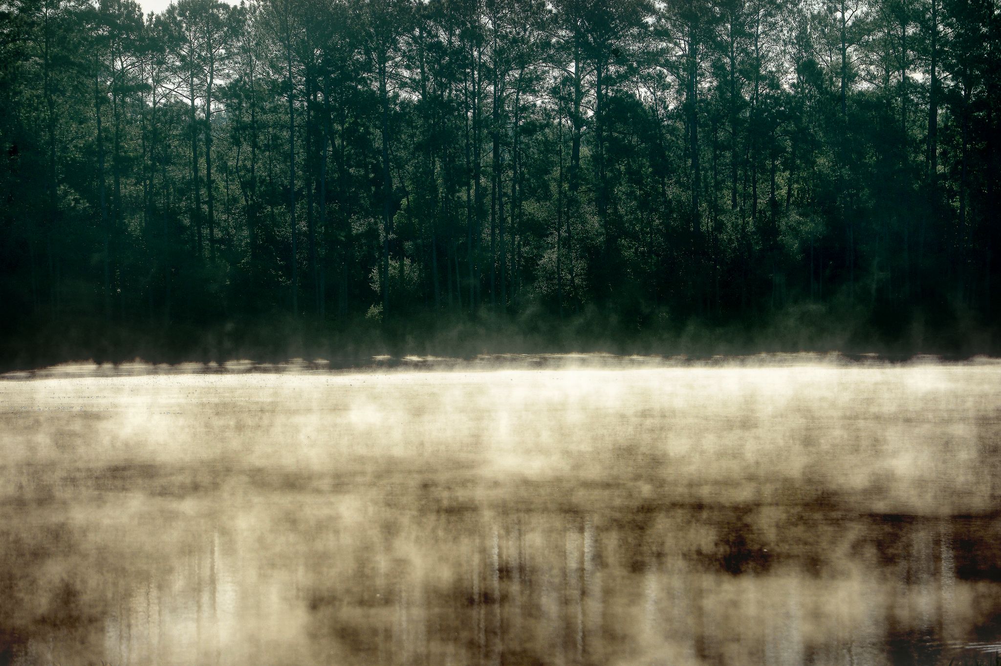 Canada's Supreme Court won’t hear appeal of ostrich cull order