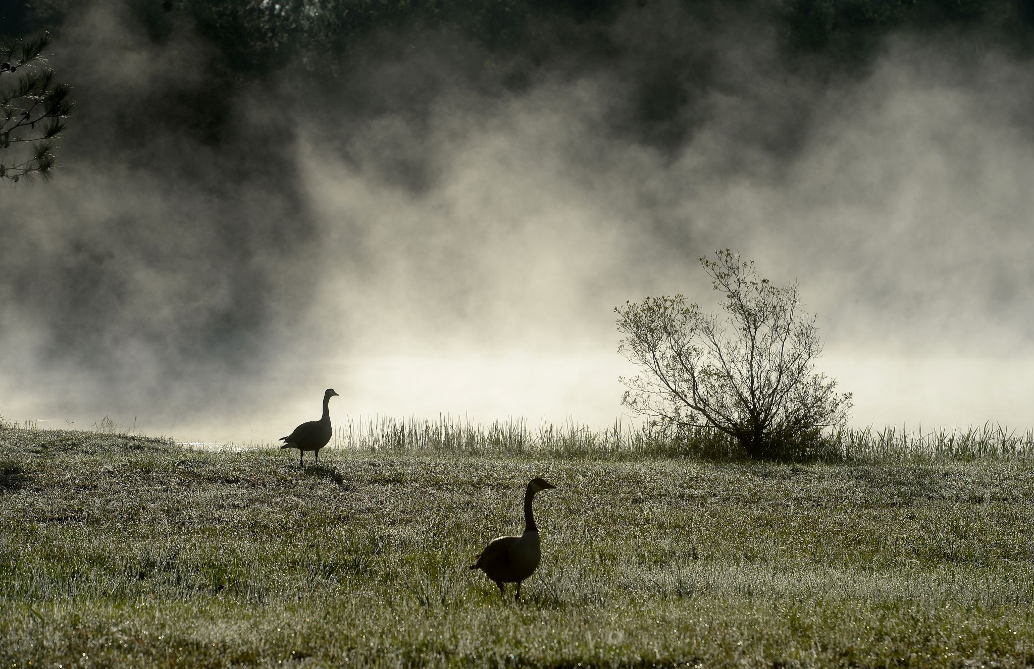 Weather forecast: Foggy morning turns into sunny Wednesday in Beaumont