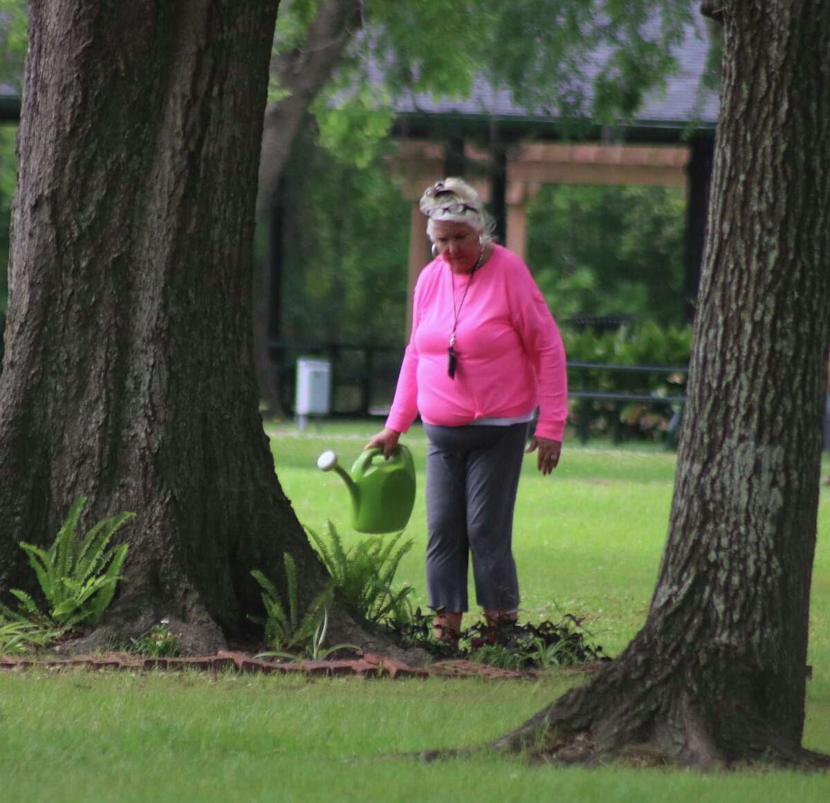 Stevenson Park’s peacefulness enhanced by the plant-watering woman