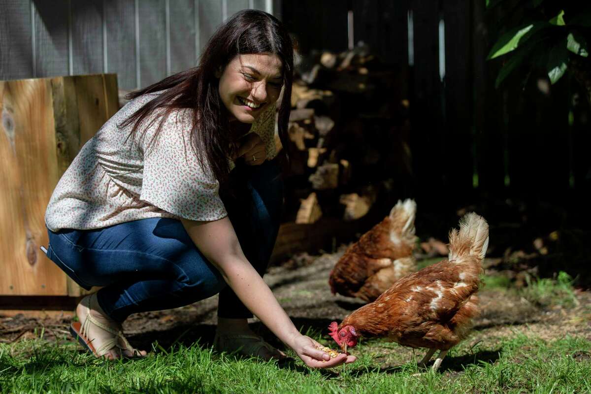 San Antonians fix egg shortages by hoarding chickens in addition to ...