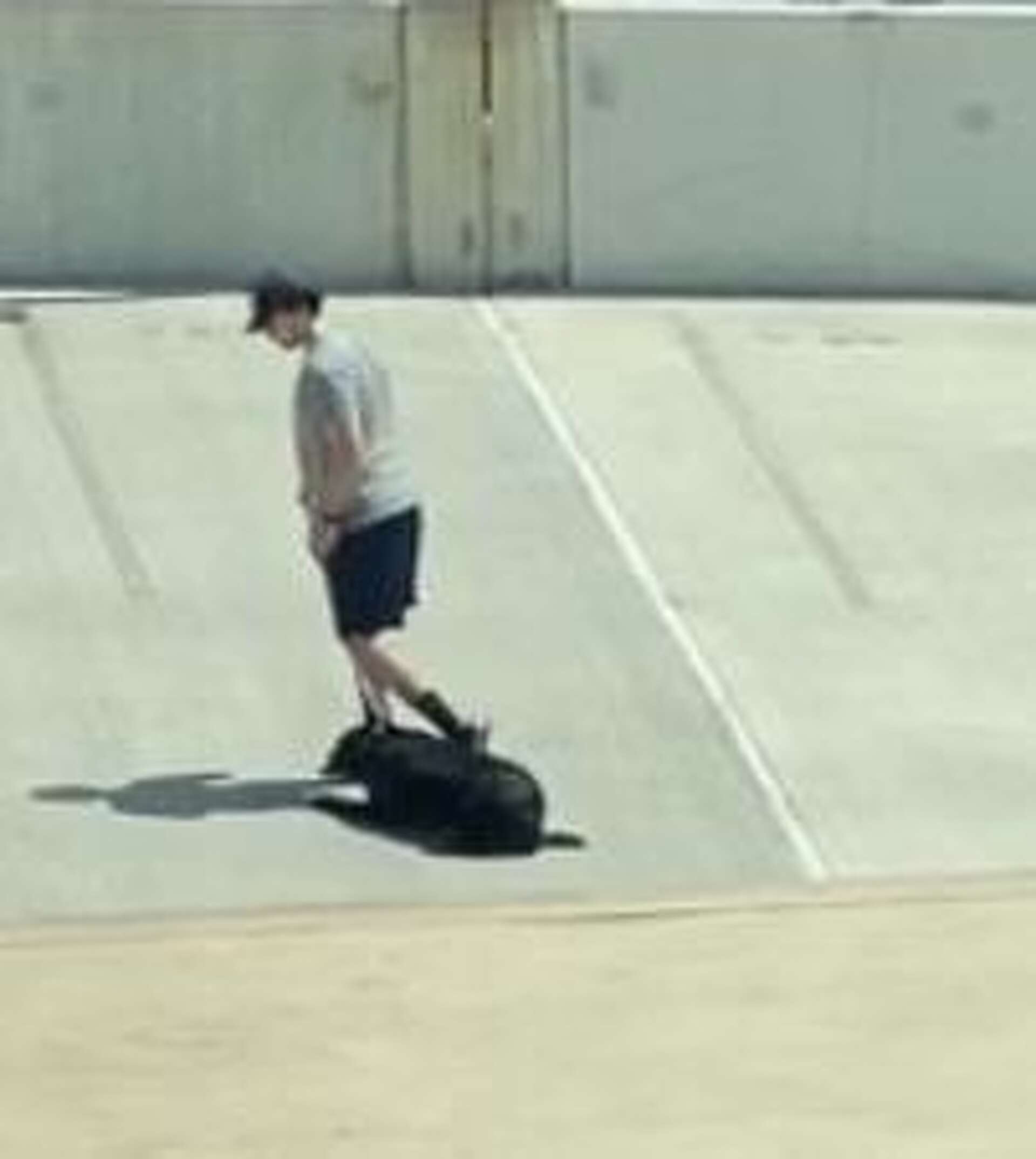 Man arrested on animal cruelty charges for allegedly beating senior lab ...