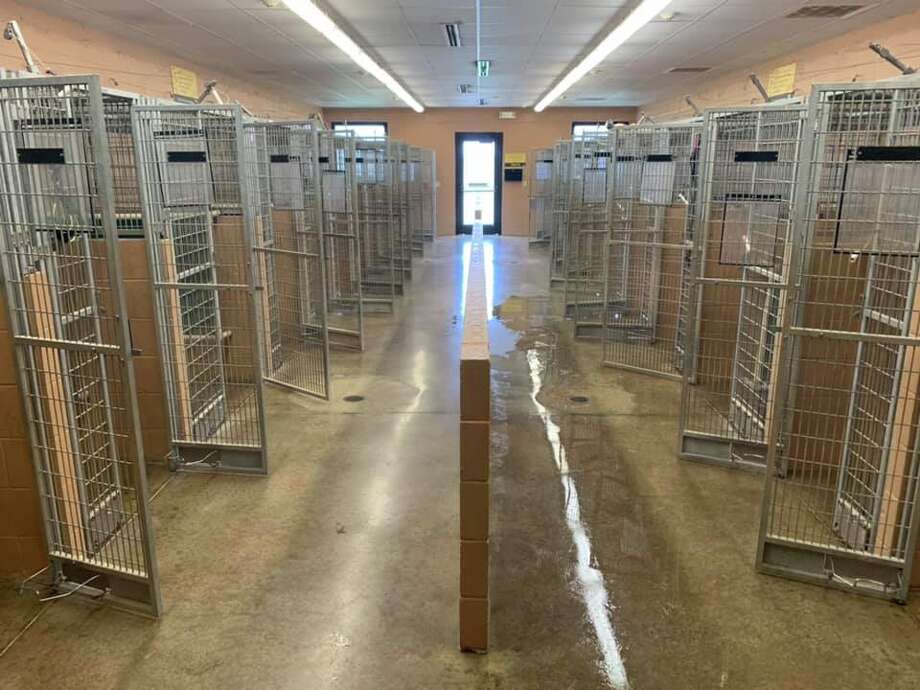 Quarantined residents help empty out La Porte Animal Shelter - Houston ...