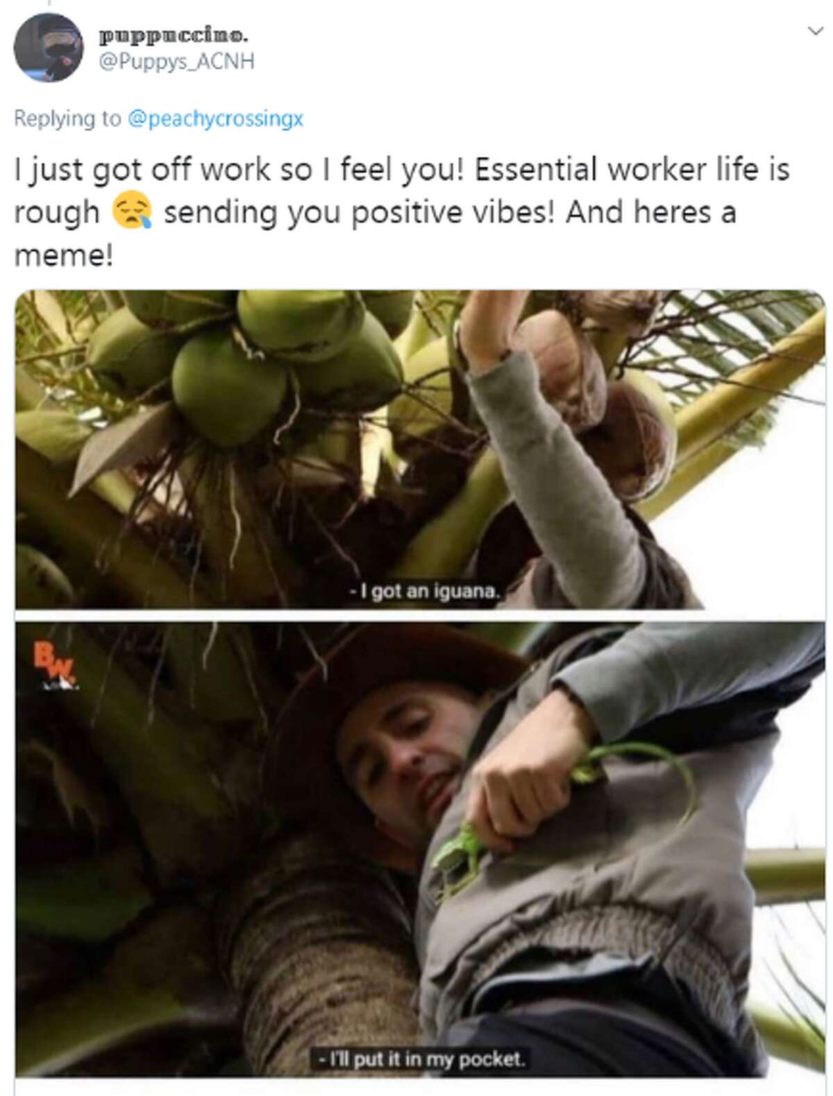 Hilarious memes that describe essential worker life