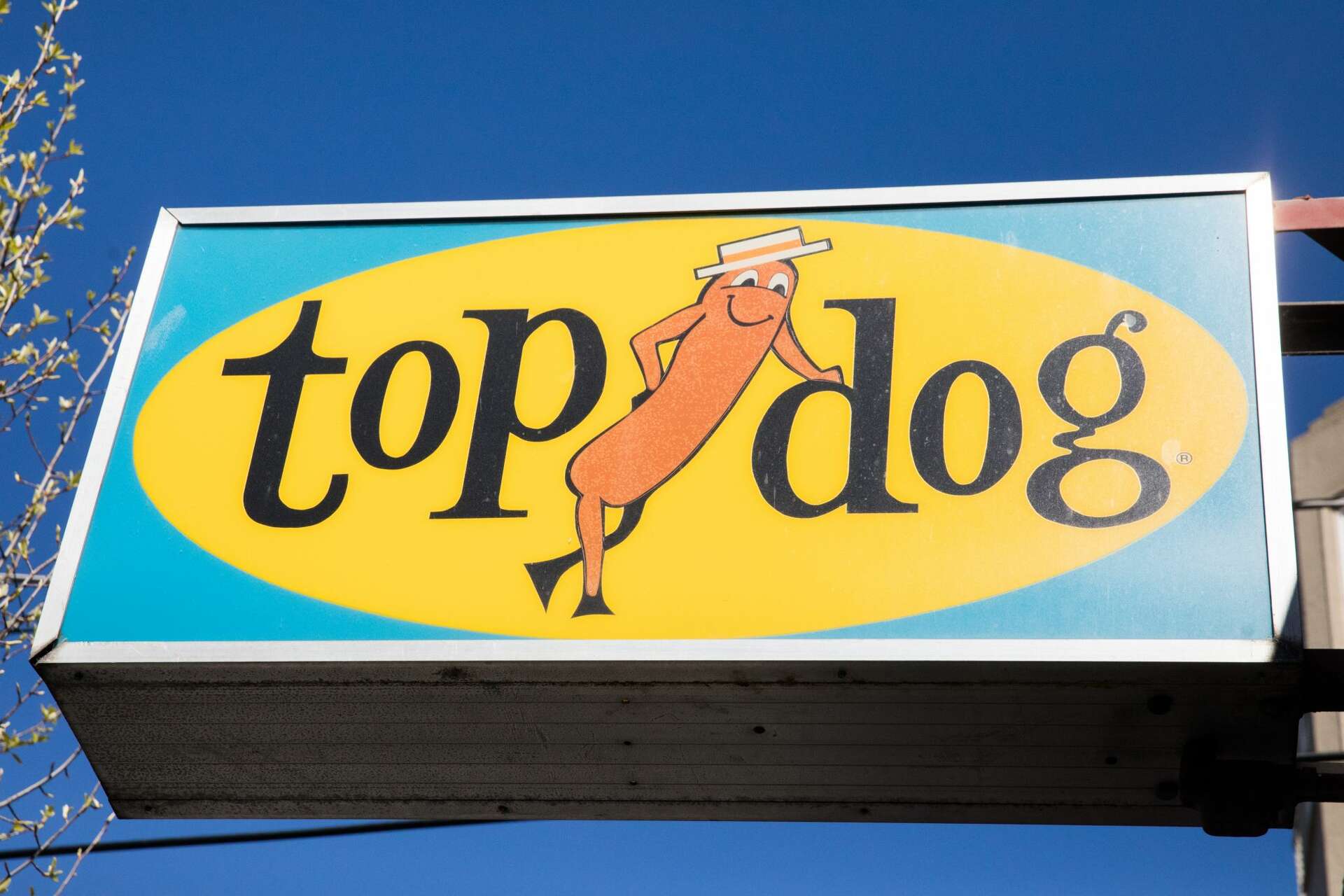 Berkeley institution Top Dog is on the ropes. But they still won’t take ...