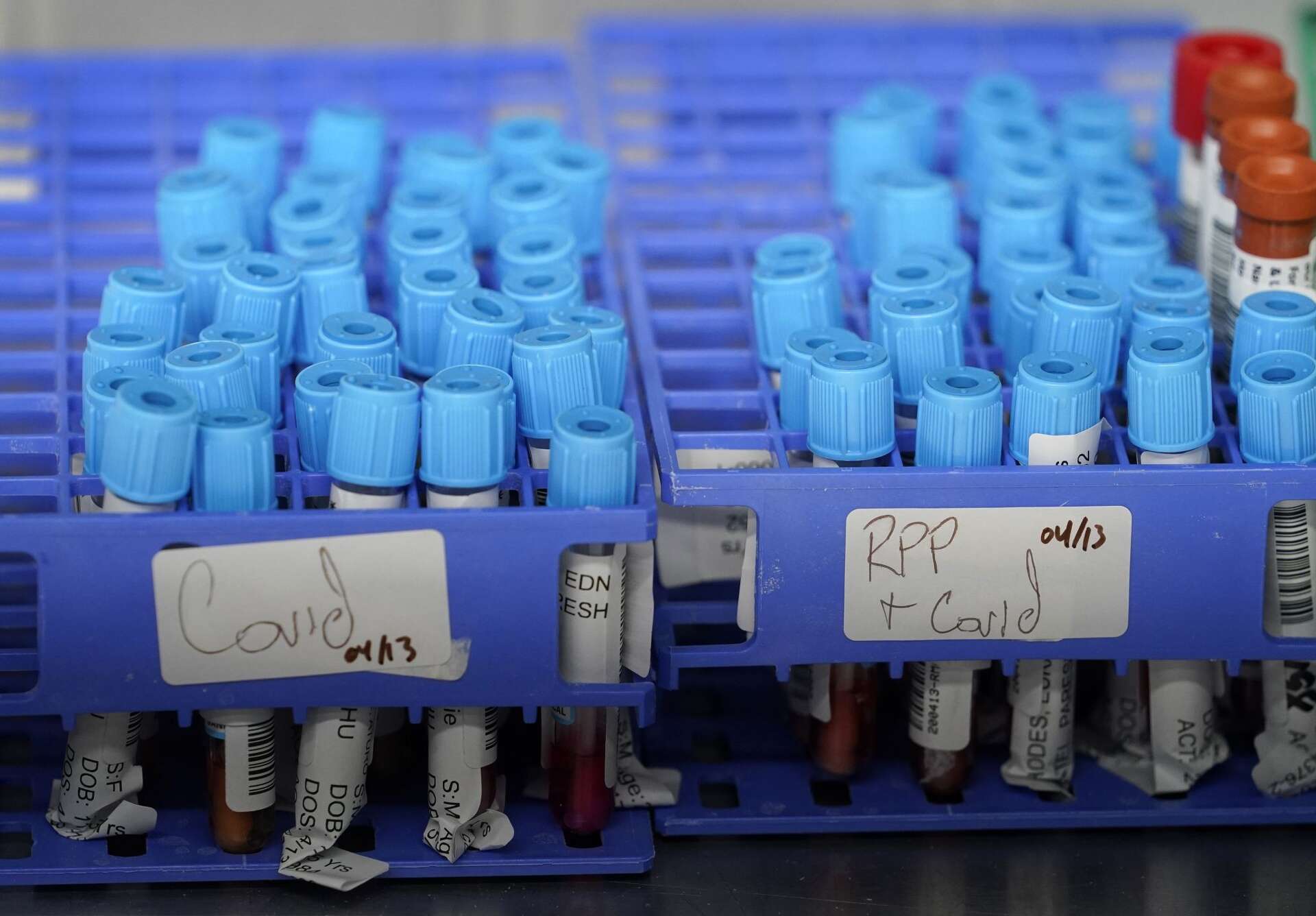 Inside the Houston lab tackling thousands of COVID-19 tests — and its ...