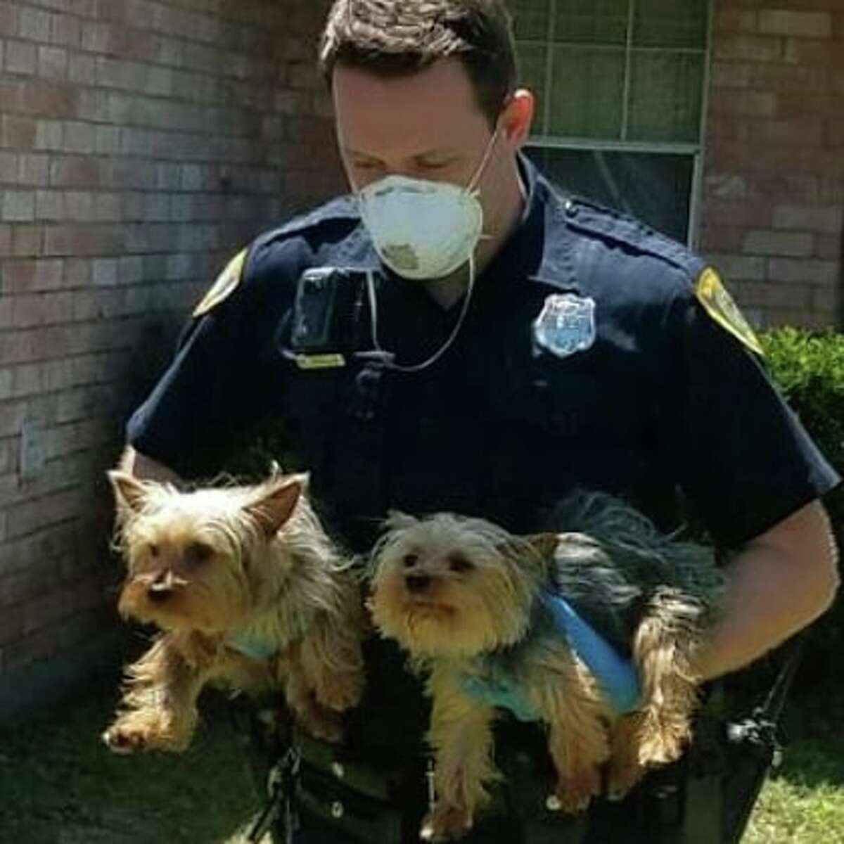 'Now they're free': 12 pups rescued from poor living conditions in ...