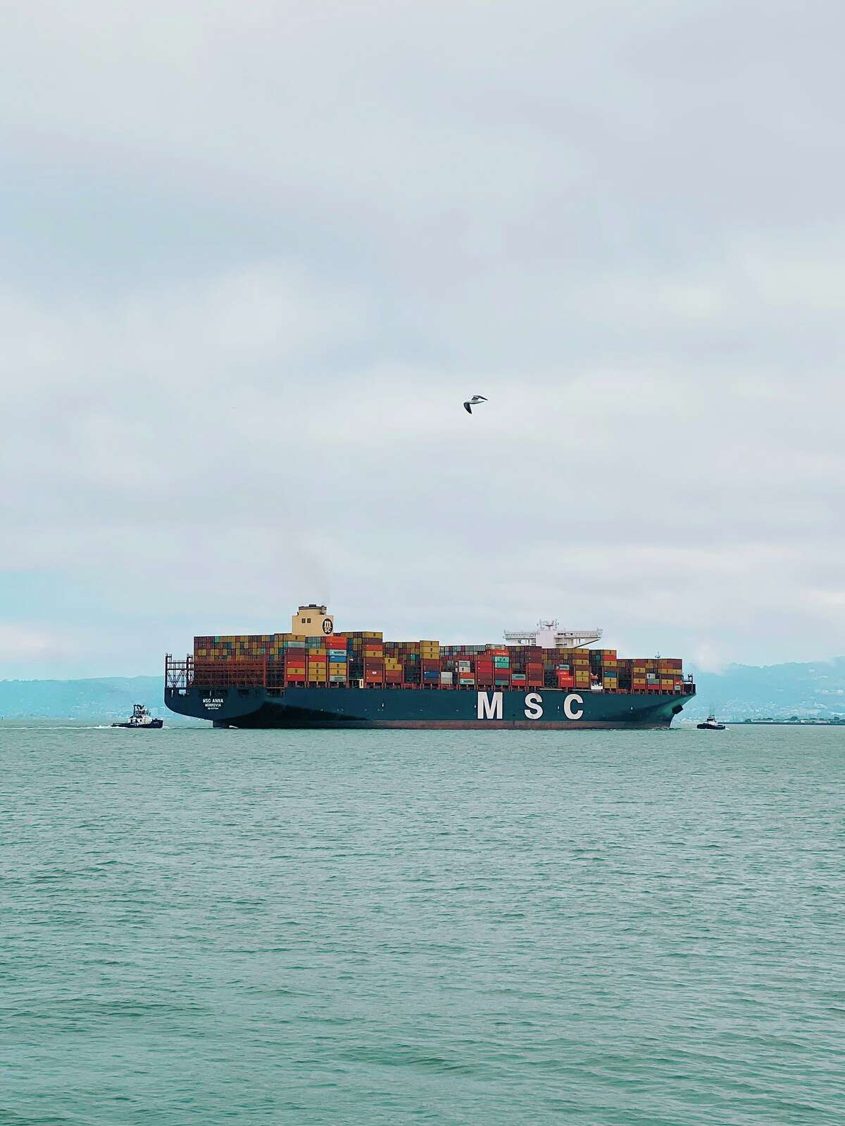 Ship longer than Salesforce Tower is tall is coming into SF Bay