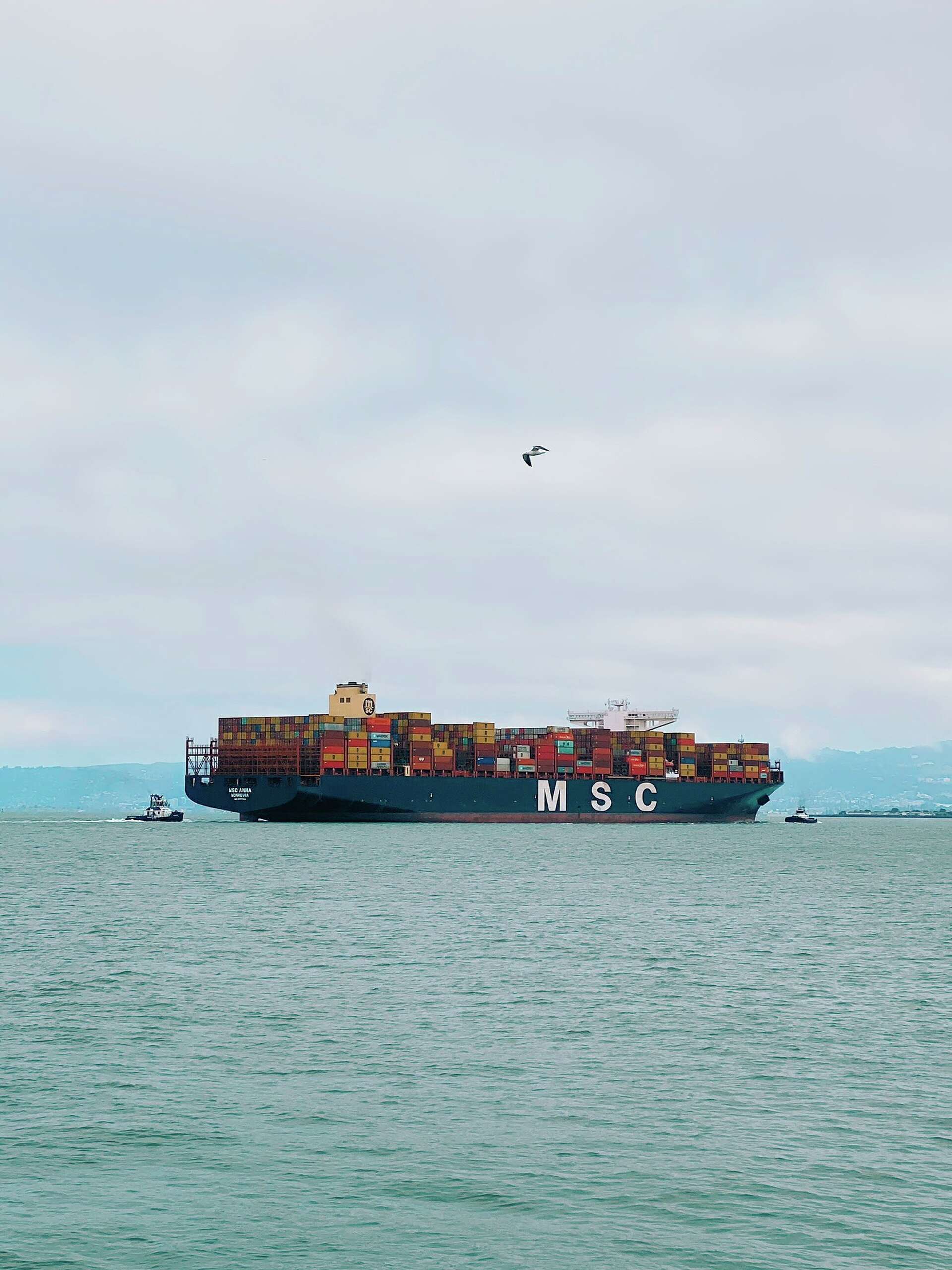 Ship longer than Salesforce Tower is tall is coming into SF Bay