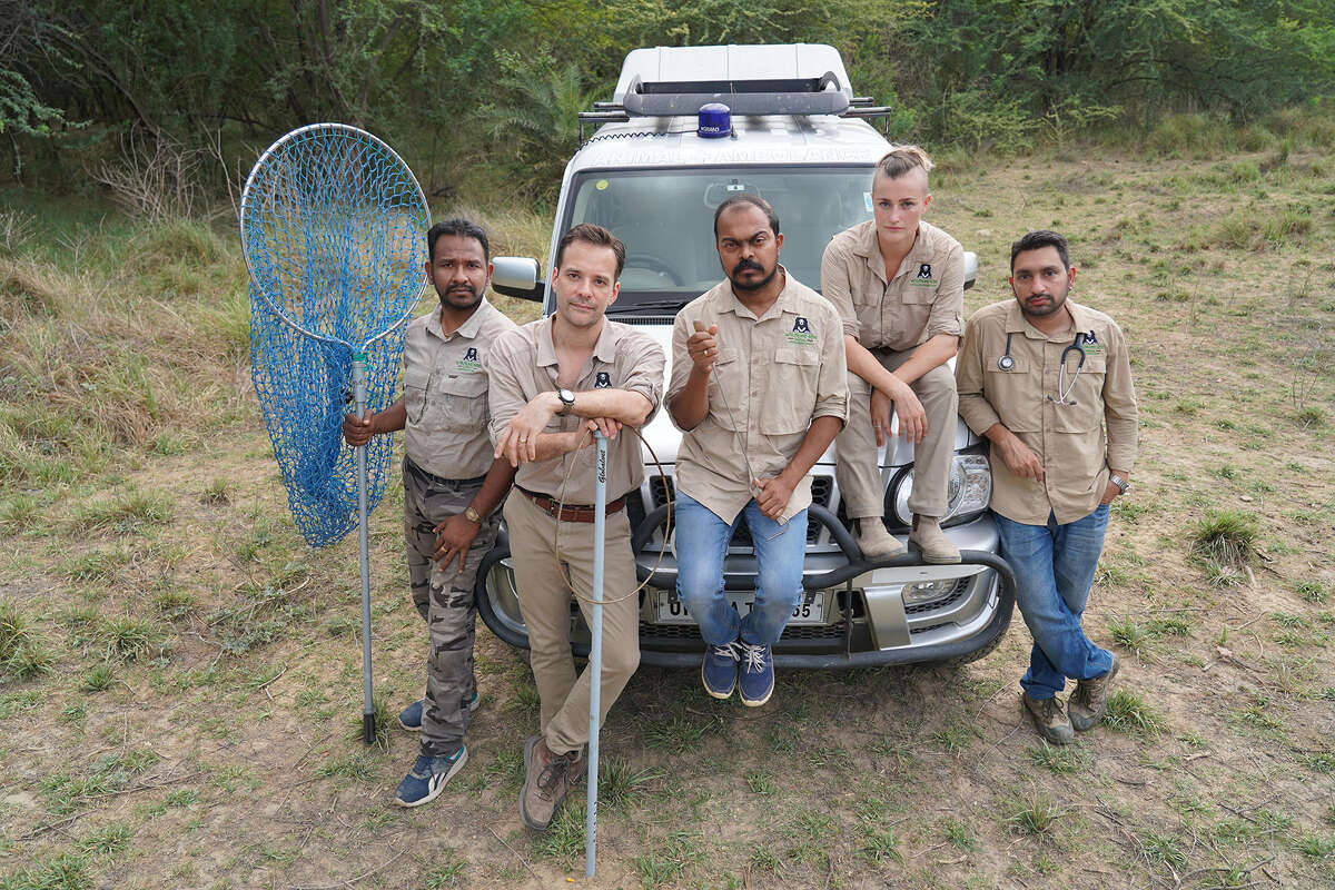 TV Best Bets Week of 041220