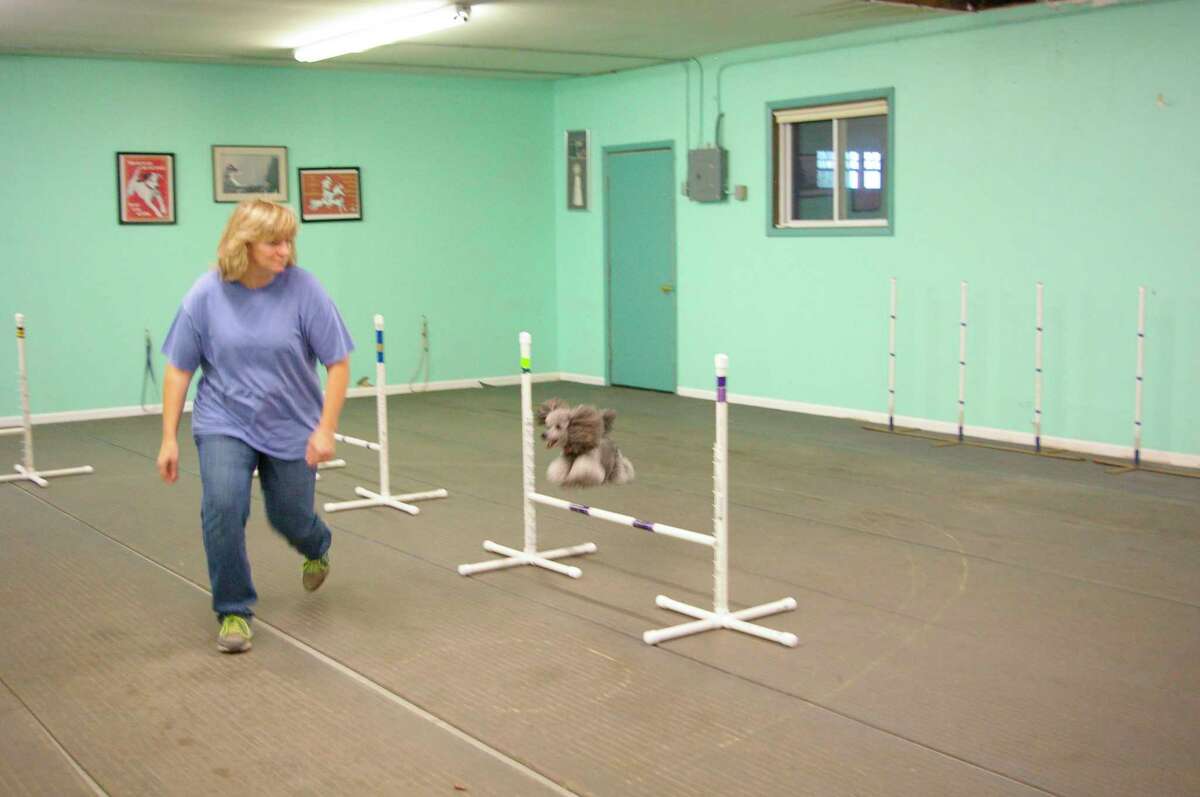 Midland's dog whisperer: Brenda Aloff helps others better understand ...