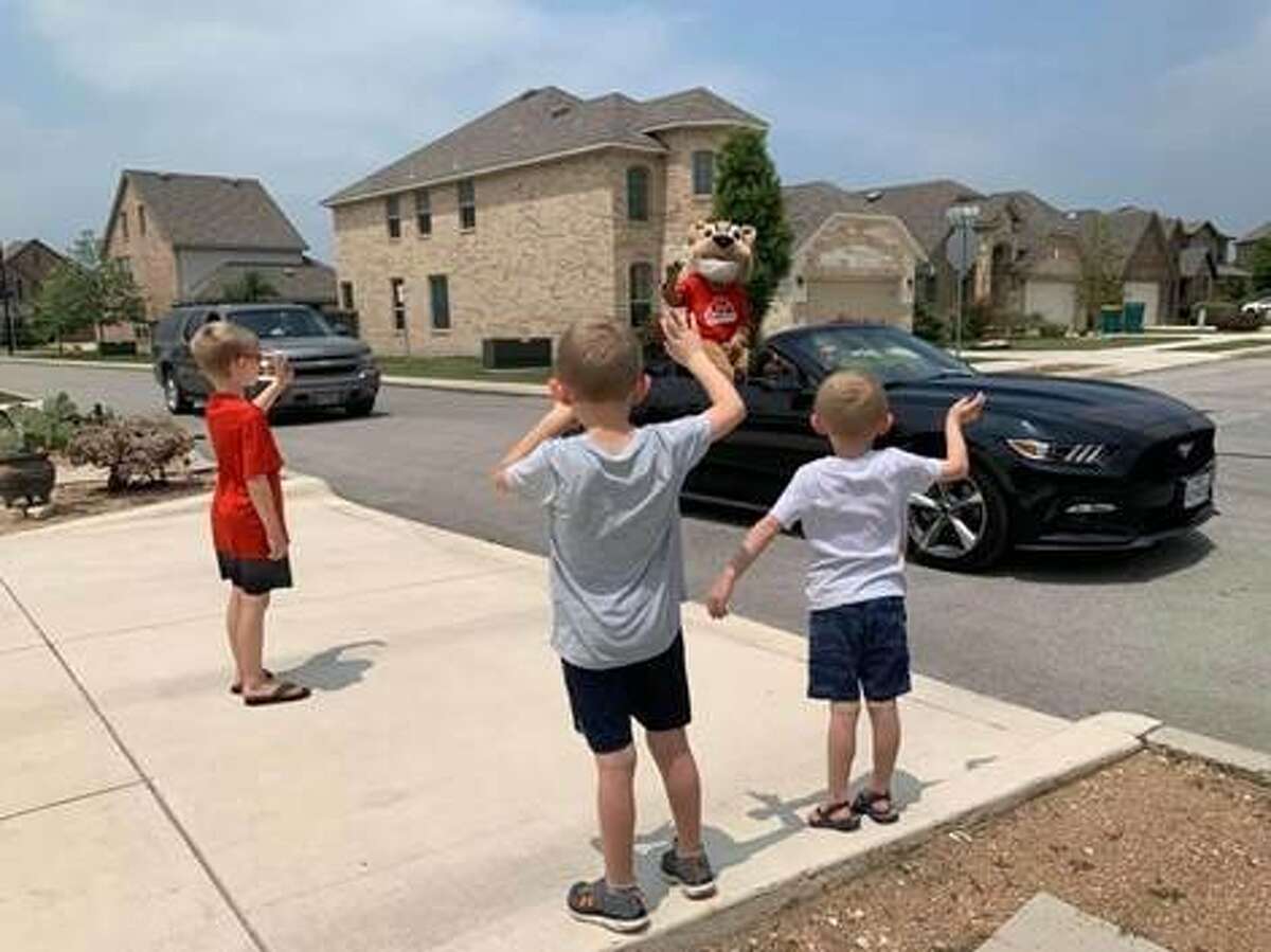 'Cougar sightings' in Boerne as elementary school mascot visits students