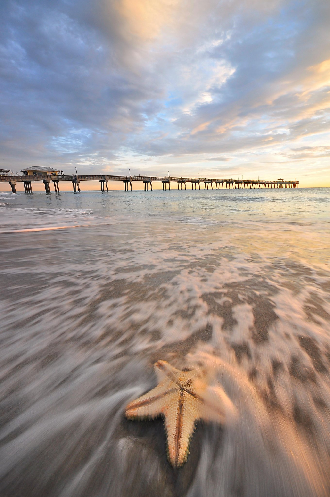 Poetry: ‘Brittle Stars’