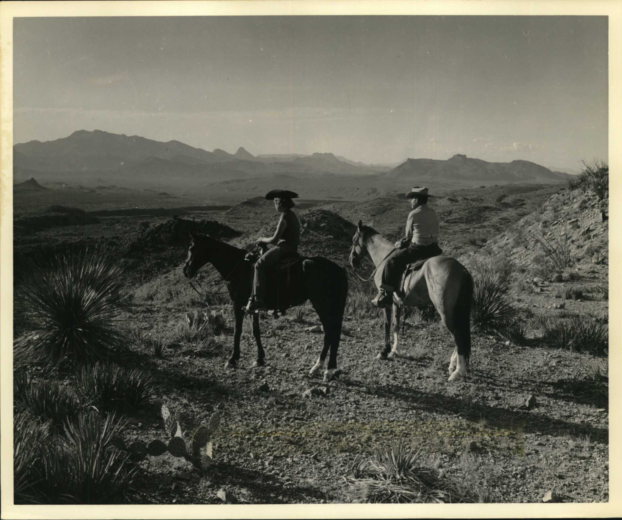 15 photos from San Antonio and Texas that are perfect for a Zoom ...