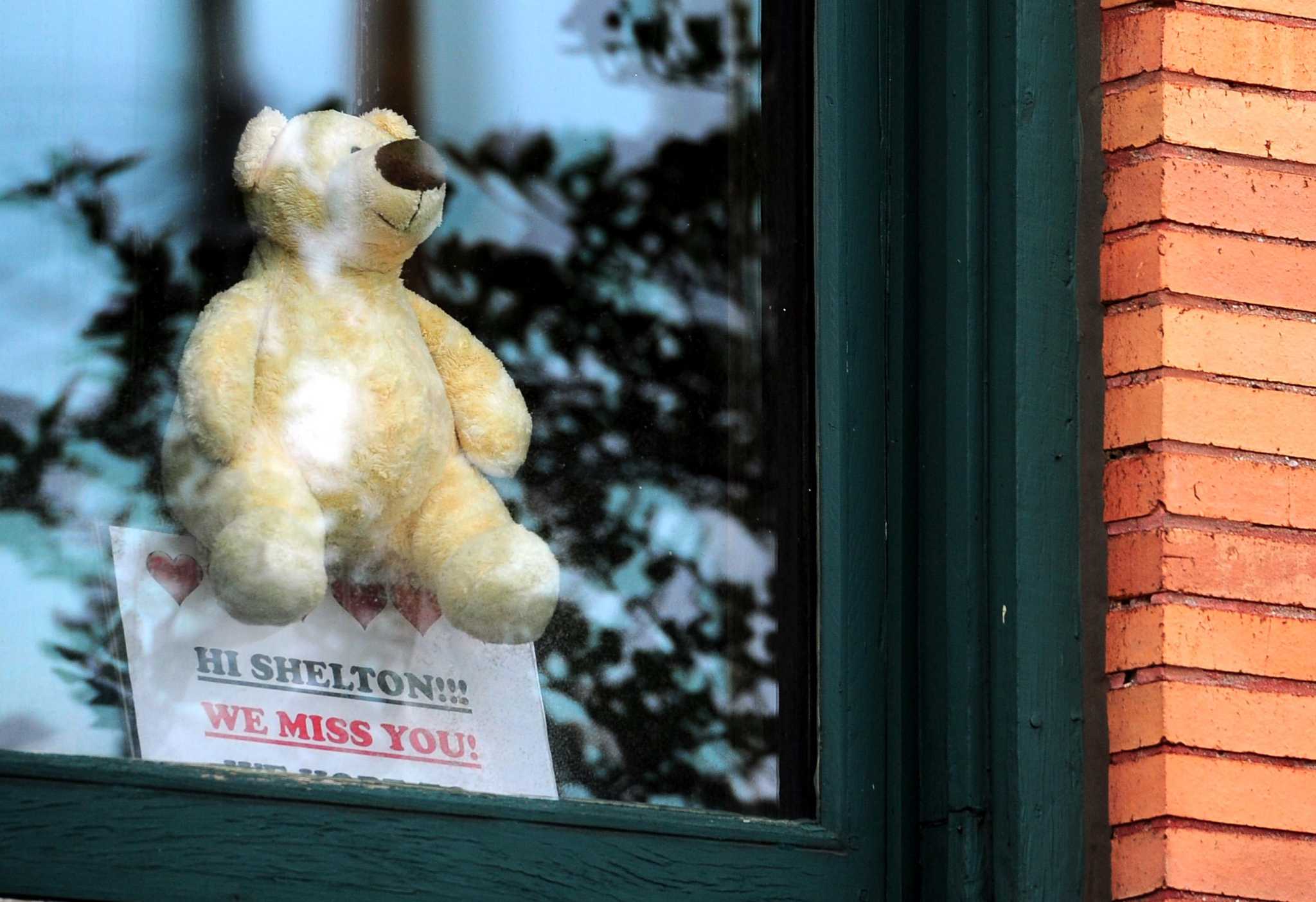 Who’s that teddy in the window?