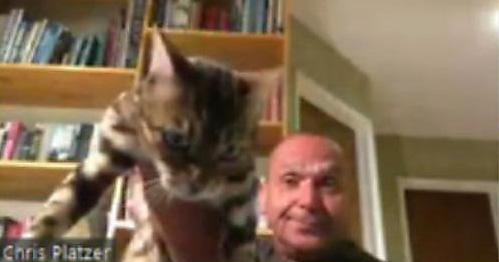 Vallejo planning commissioner throws cat, chugs from a bottle during ...