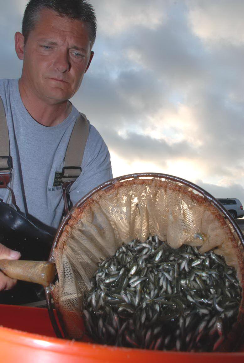 TPWD facilities running on skeleton crews, freshwater numbers headed ...