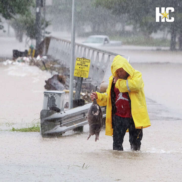 Bring these beloved Houston scenes to your next Zoom meeting background