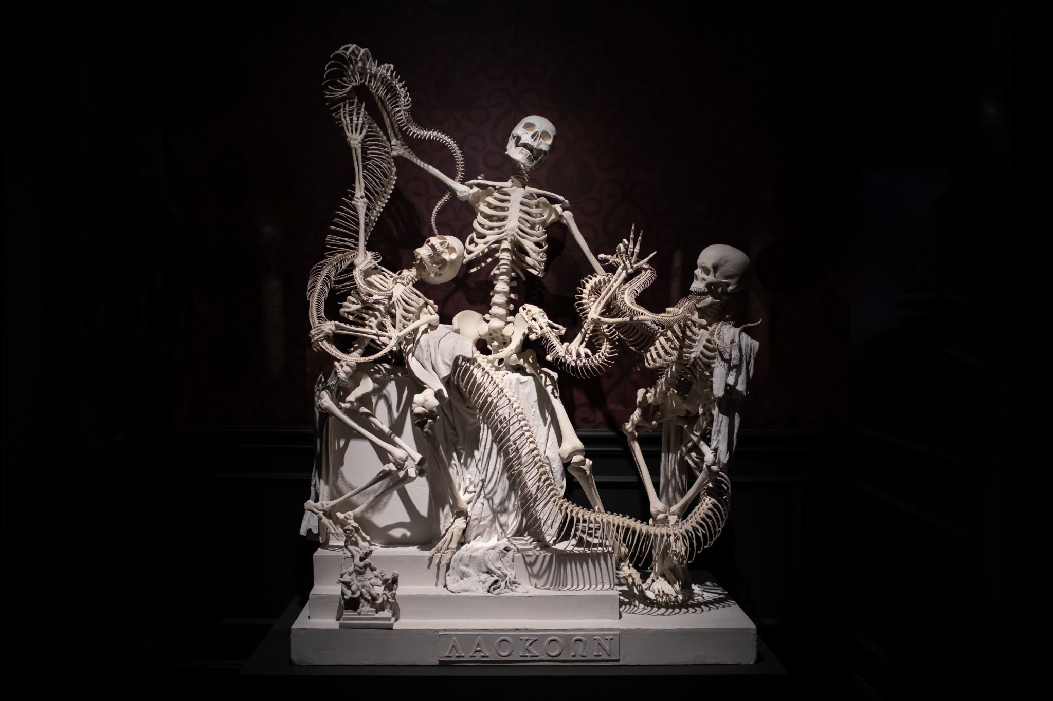 Take a virtual tour of some bizarre, creepy objects at Houston museums