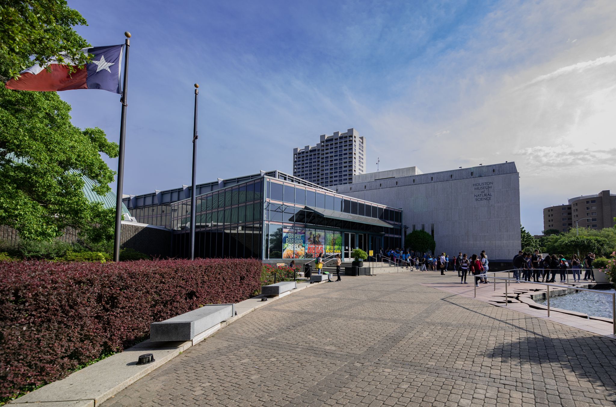 Take a virtual tour of some bizarre, creepy objects at Houston museums