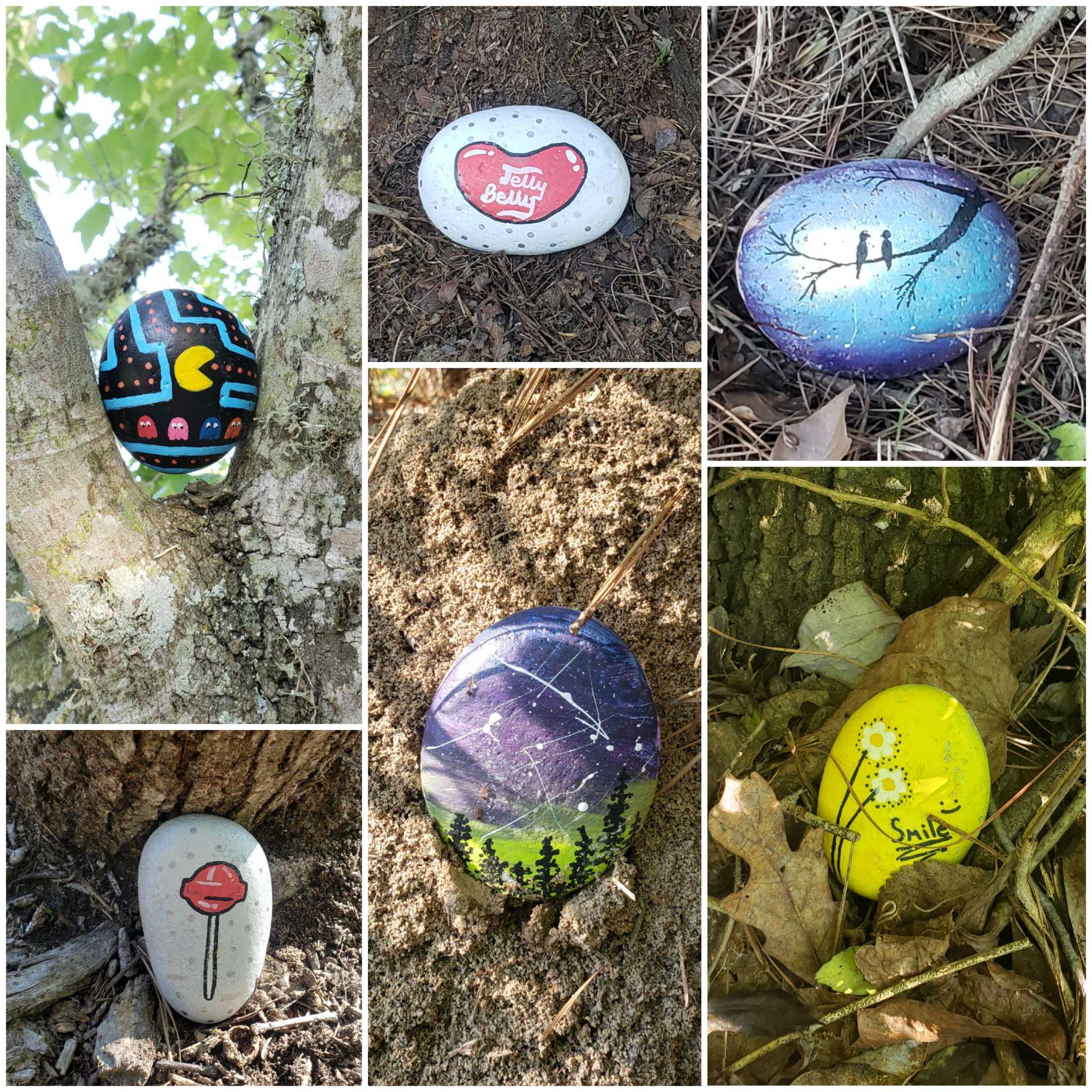 Art rock artists brighten walking trails in The Woodlands