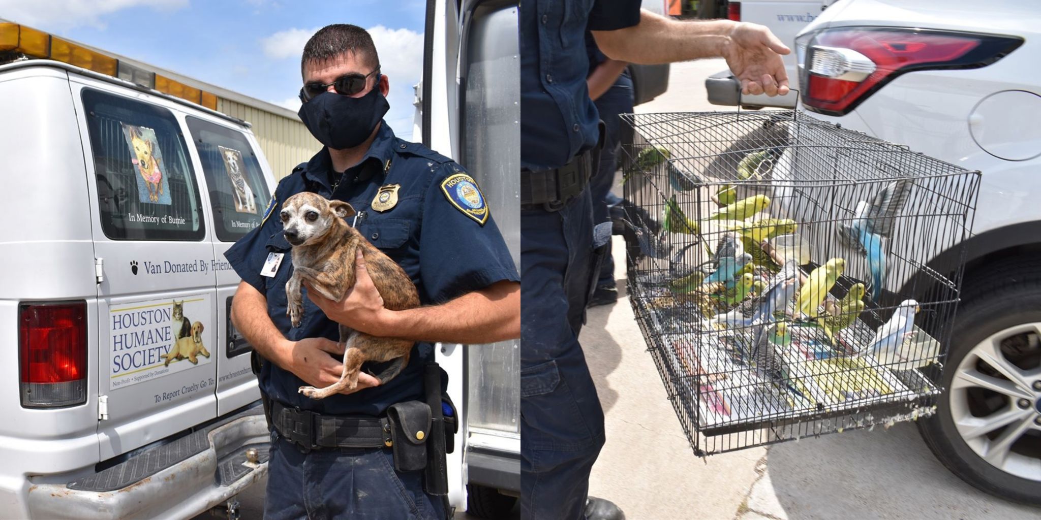 Are Dogs Allowed At Swap Meets