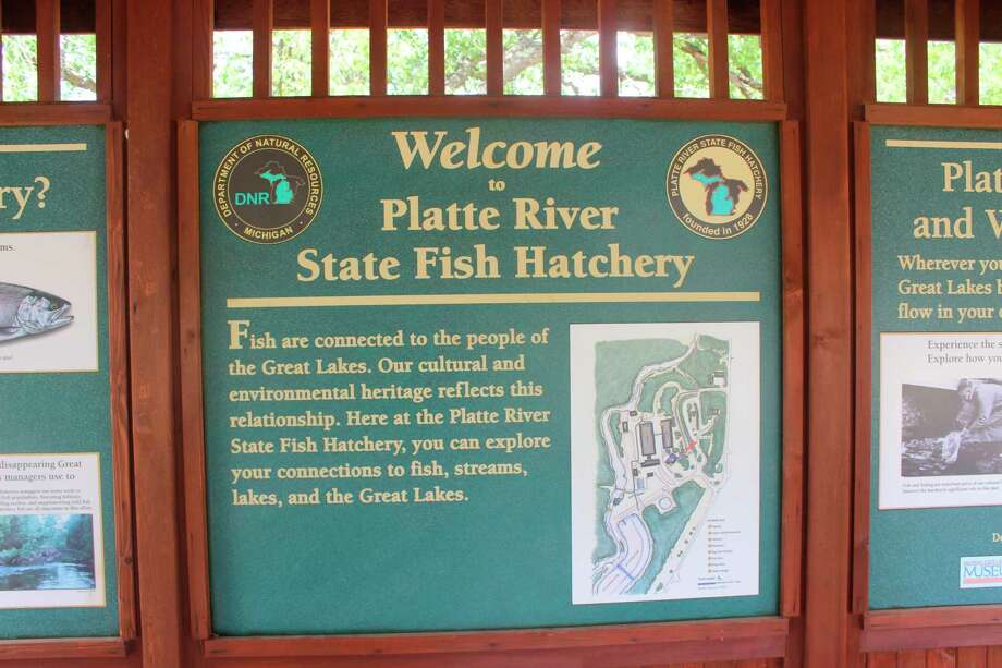 State fish hatcheries continue to stock fish - Benzie Record Patriot