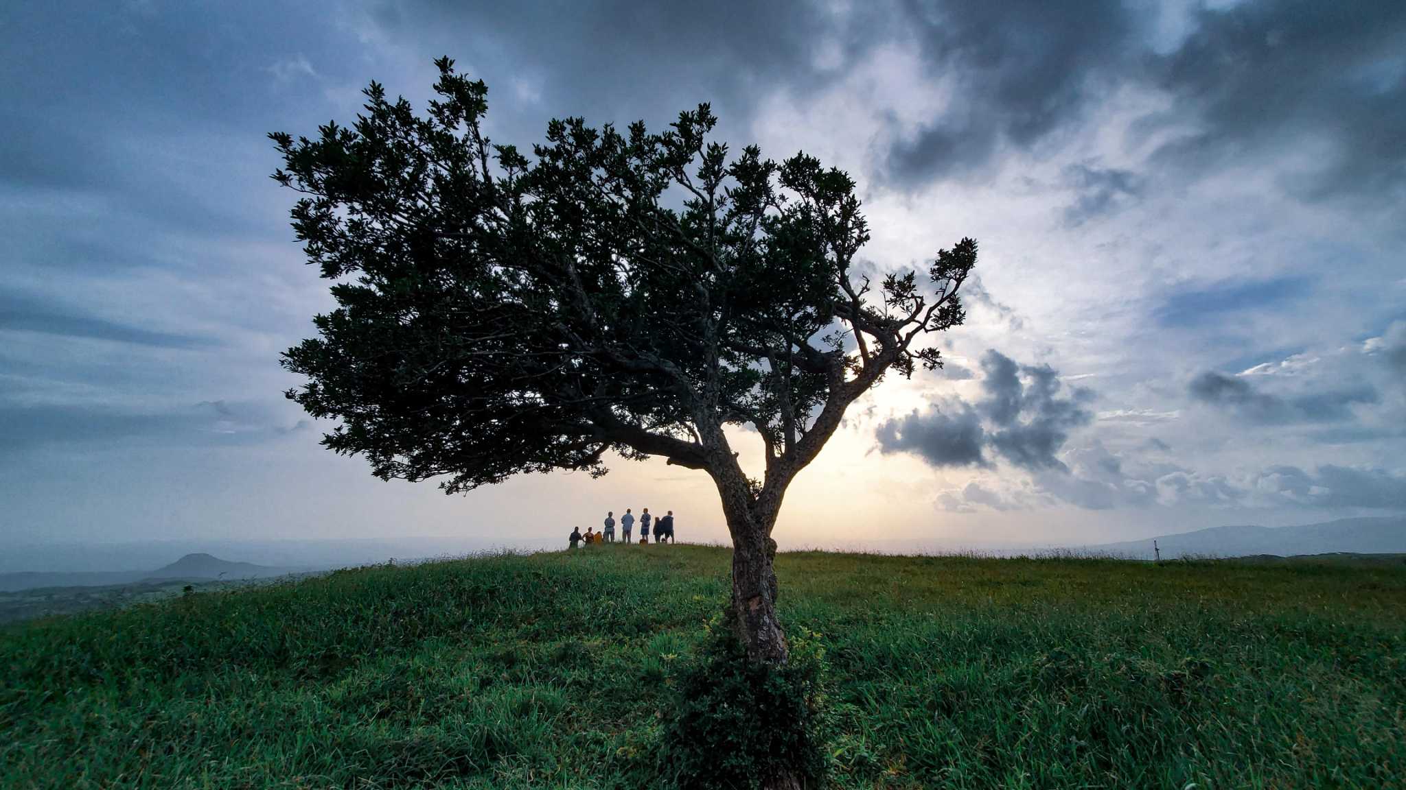 Norwalk’s Trevor Cooper wins awards in Darien photo contest