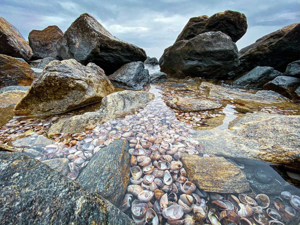 Norwalk’s Trevor Cooper wins awards in Darien photo contest