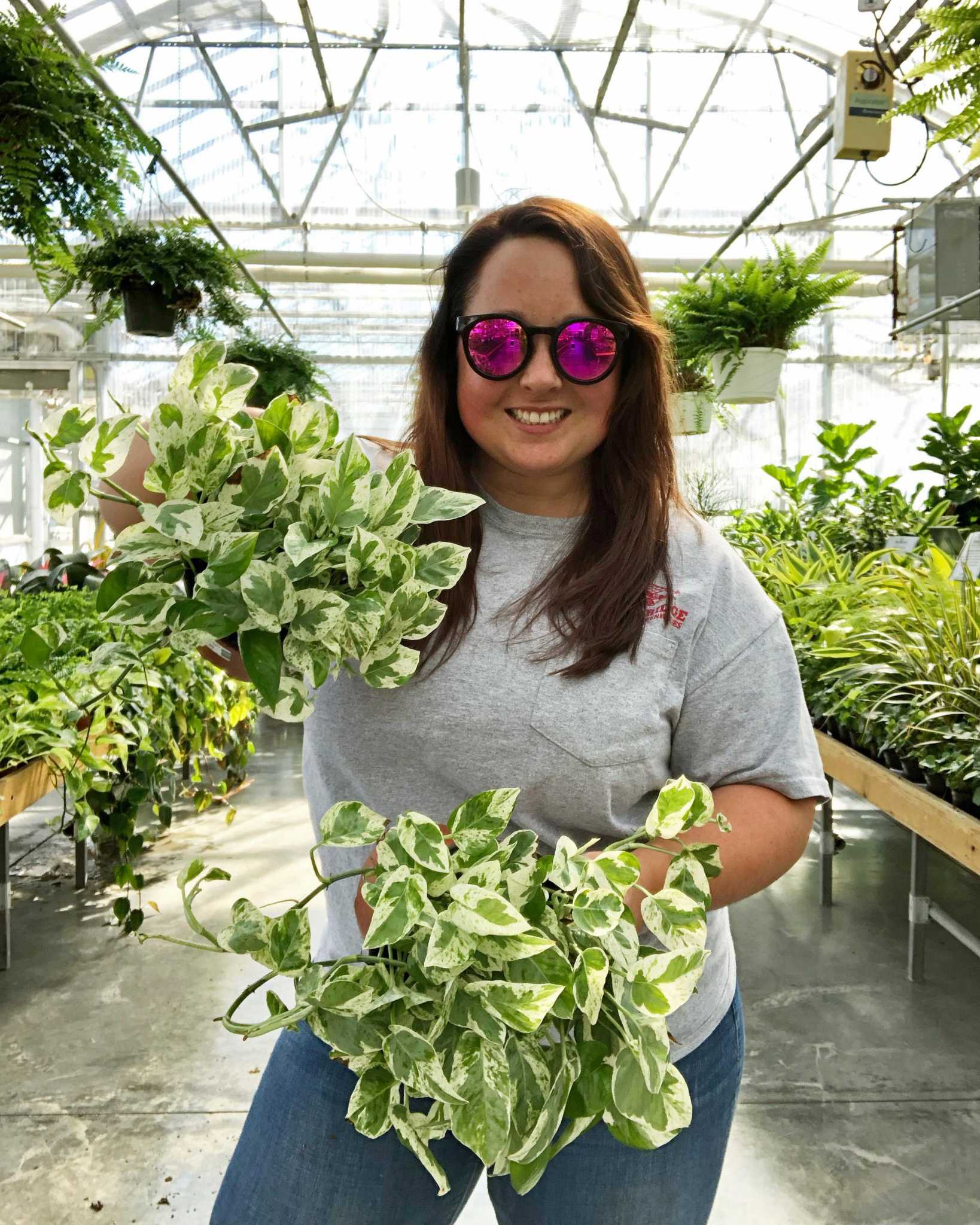 Fewer plants? More sharecropping? Experts predict the future of ...
