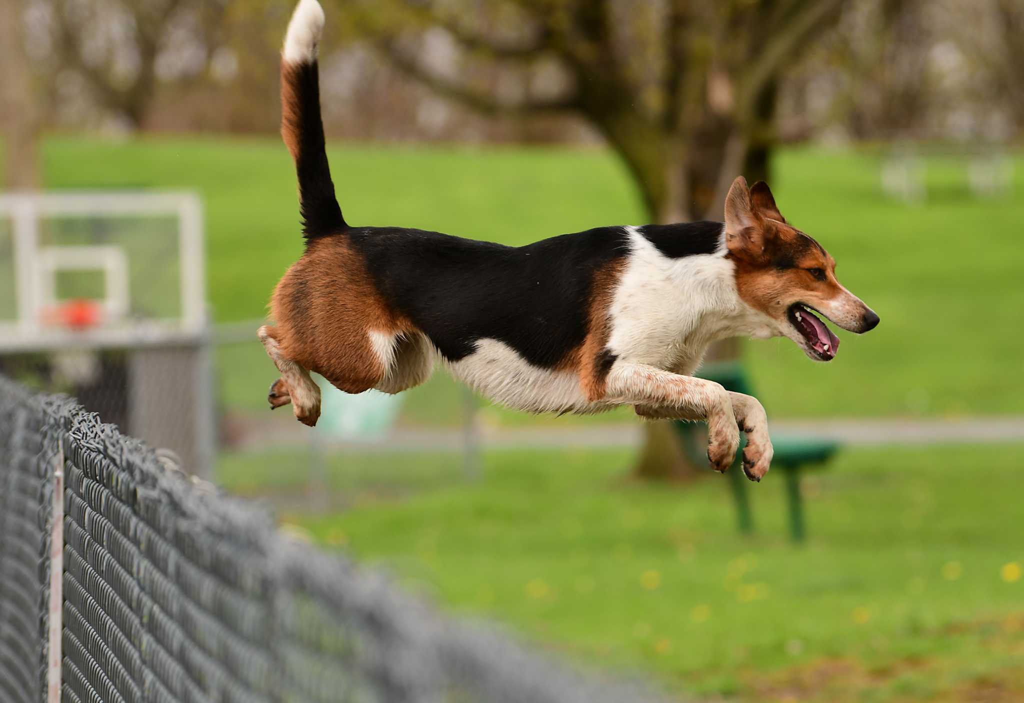 Jason Gough's forecast: It's May, but week will be cool with snow possible