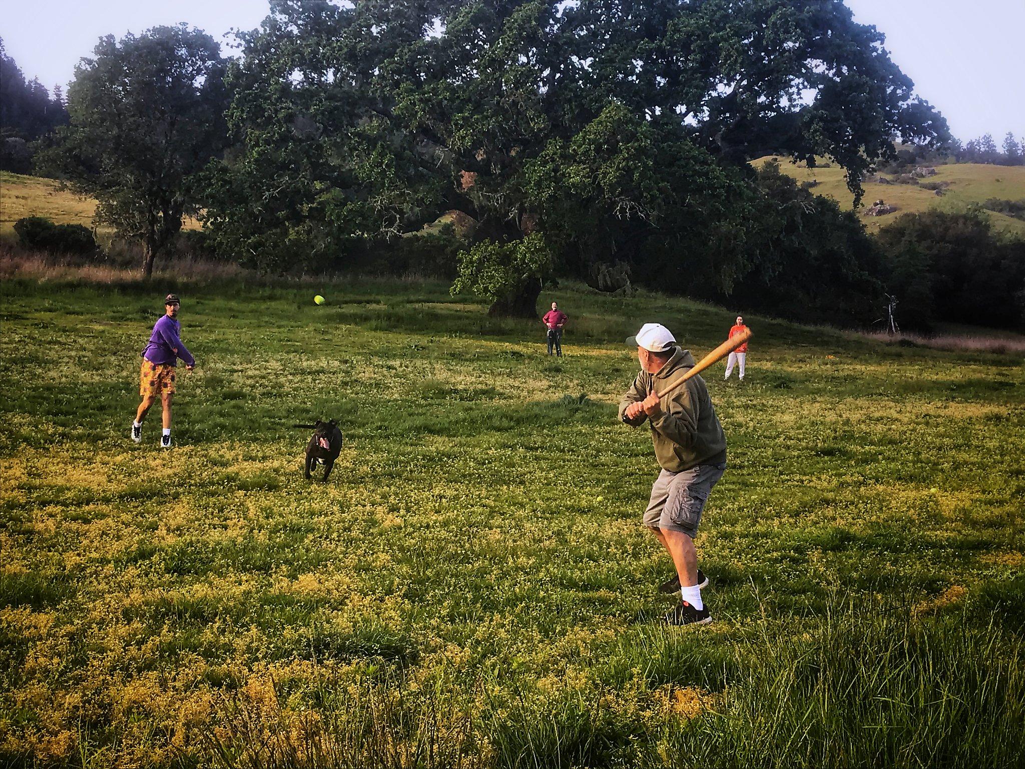 How Bay Area residents are getting their social-distance sports fix